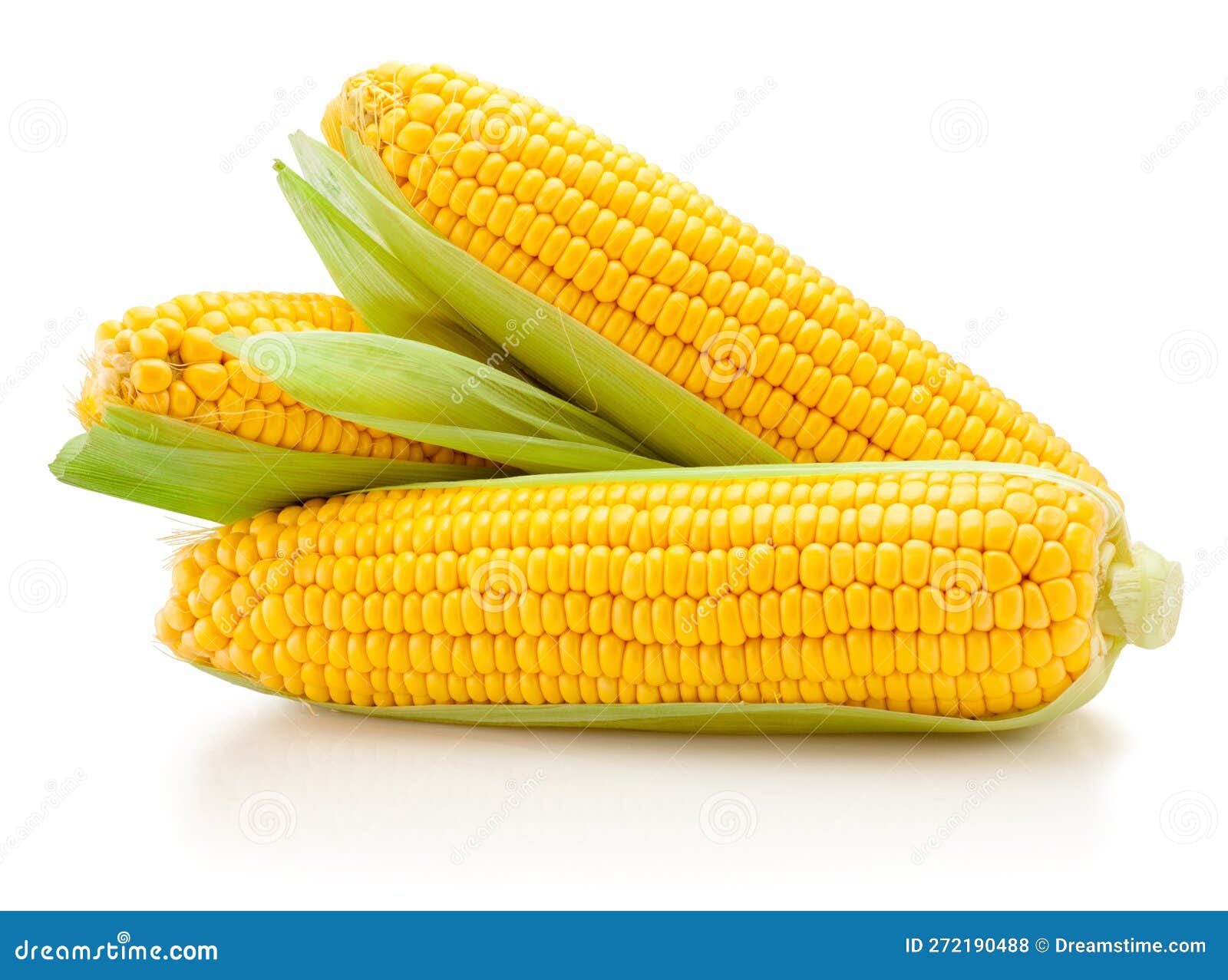 Fresh Corn Ears with Leaves Isolated on White Background Stock Photo ...