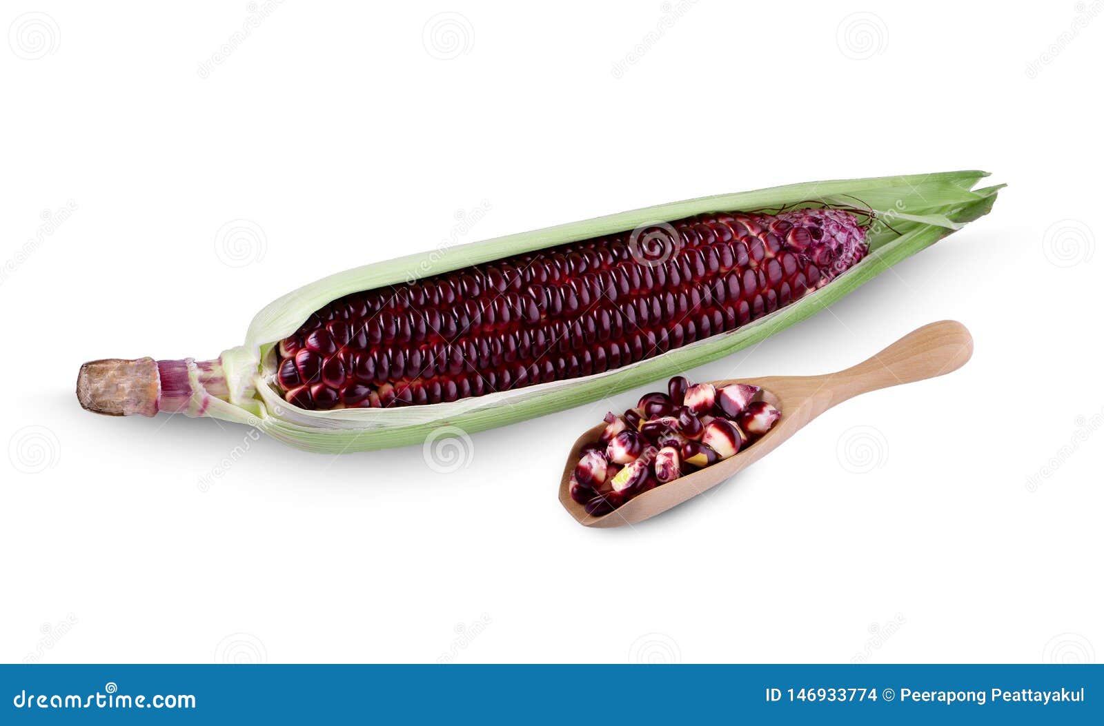 Fresh Corn Ears with Leaves Set Isolated on White Background Stock ...
