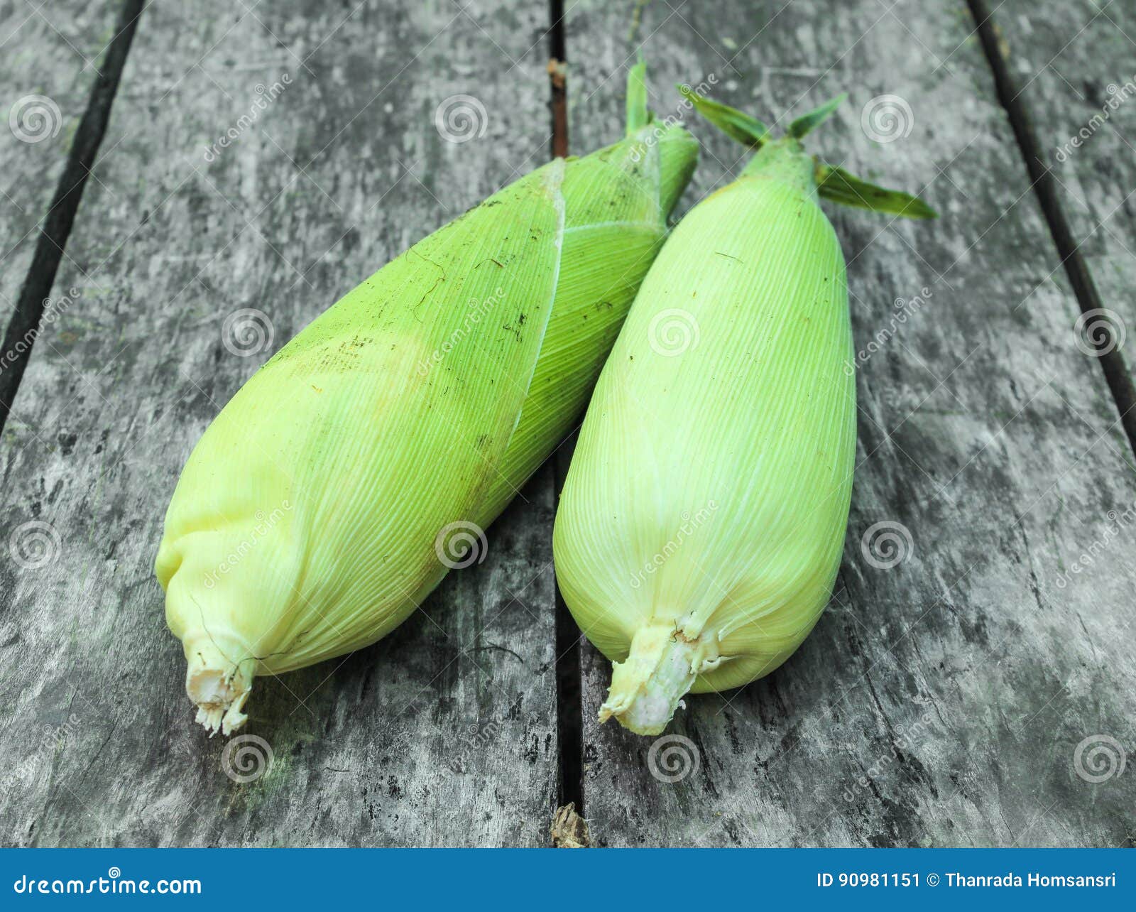 Fresh Corn Fruits with Green Leaves Stock Image - Image of flake ...