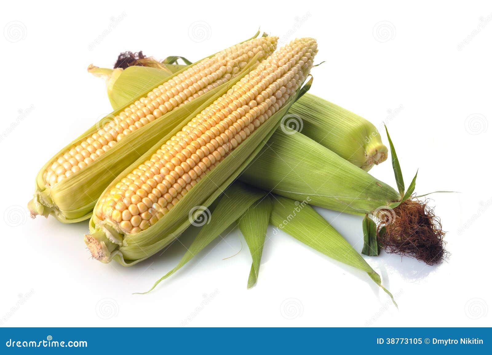 Fresh Corn Fruits with Green Leaves Stock Image - Image of fuel, life ...