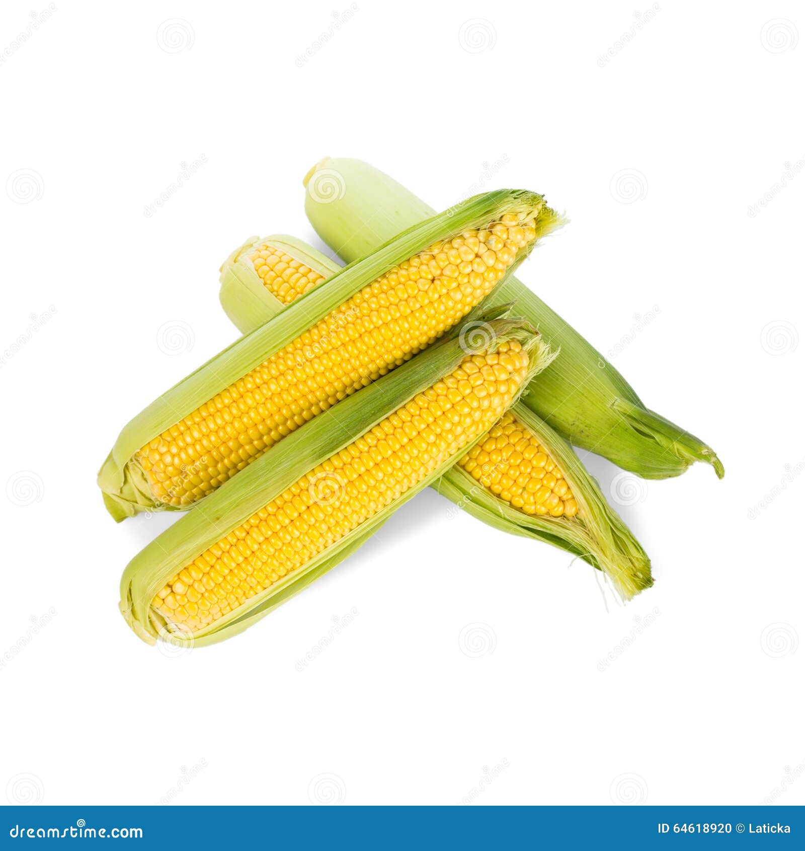 Fresh Corn with Green Leaves Stock Photo - Image of close, fresh: 64618920