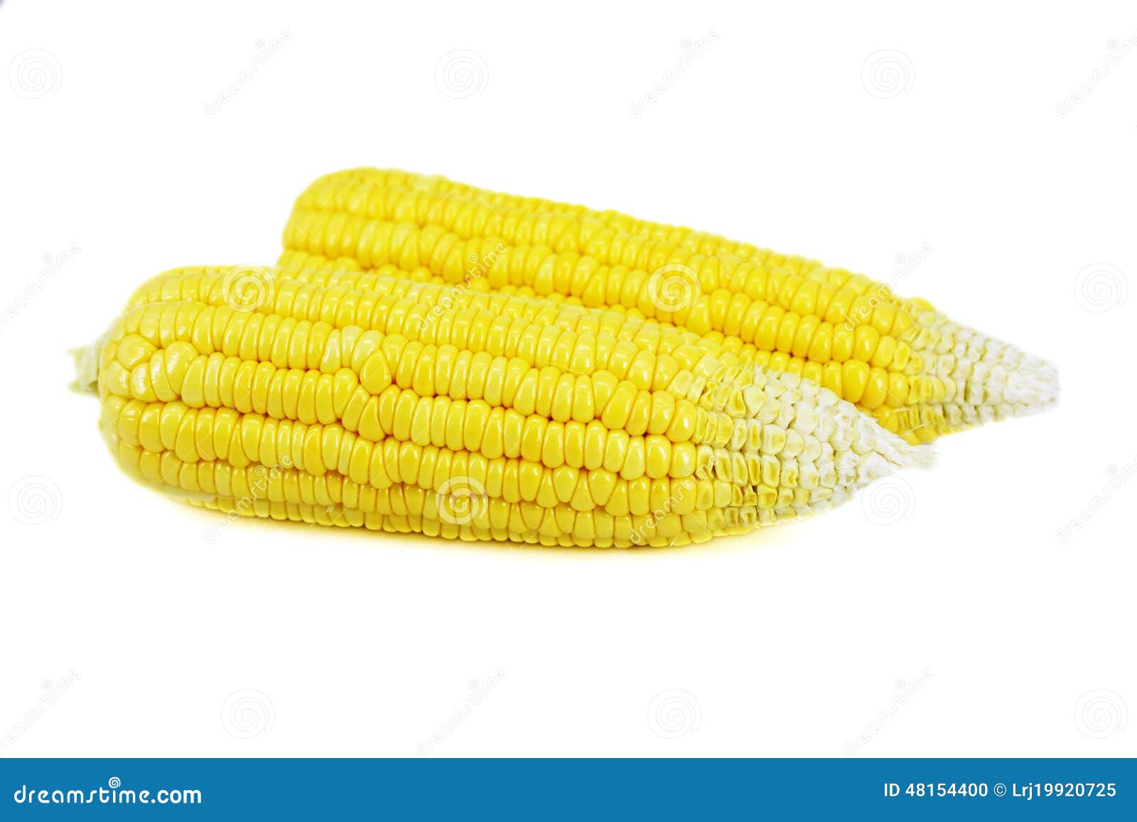 Fresh corn stock photo. Image of ingredient, closeup - 48154400