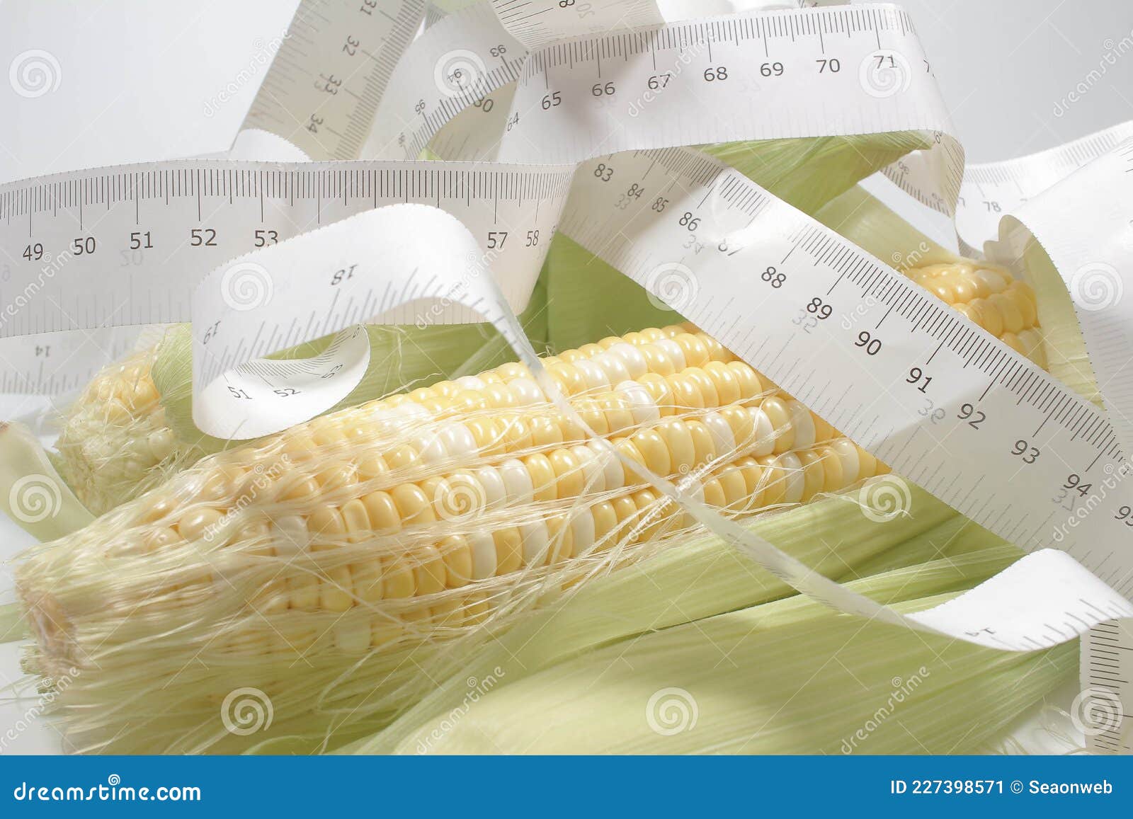 A Fresh Corn and Measuring Tape on White Background Stock Image - Image ...