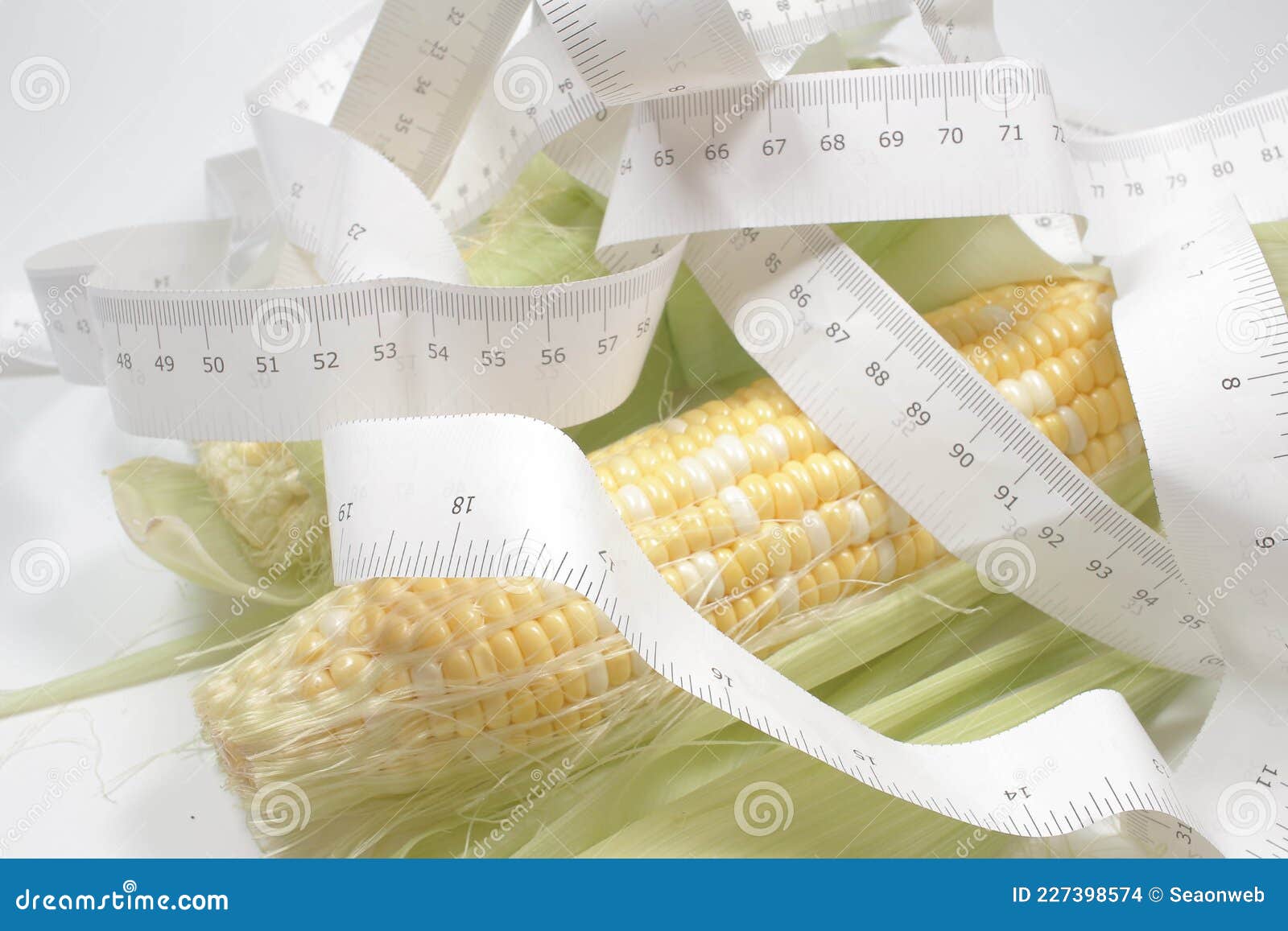 A Fresh Corn and Measuring Tape on White Background Stock Photo - Image ...