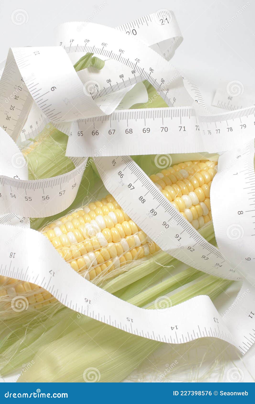 A Fresh Corn and Measuring Tape on White Background Stock Photo - Image ...