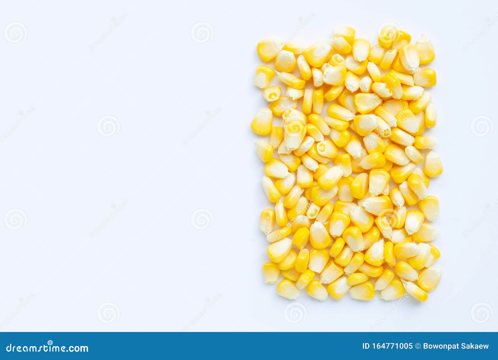 Fresh Corn Seeds on a White Background Stock Image - Image of golden ...