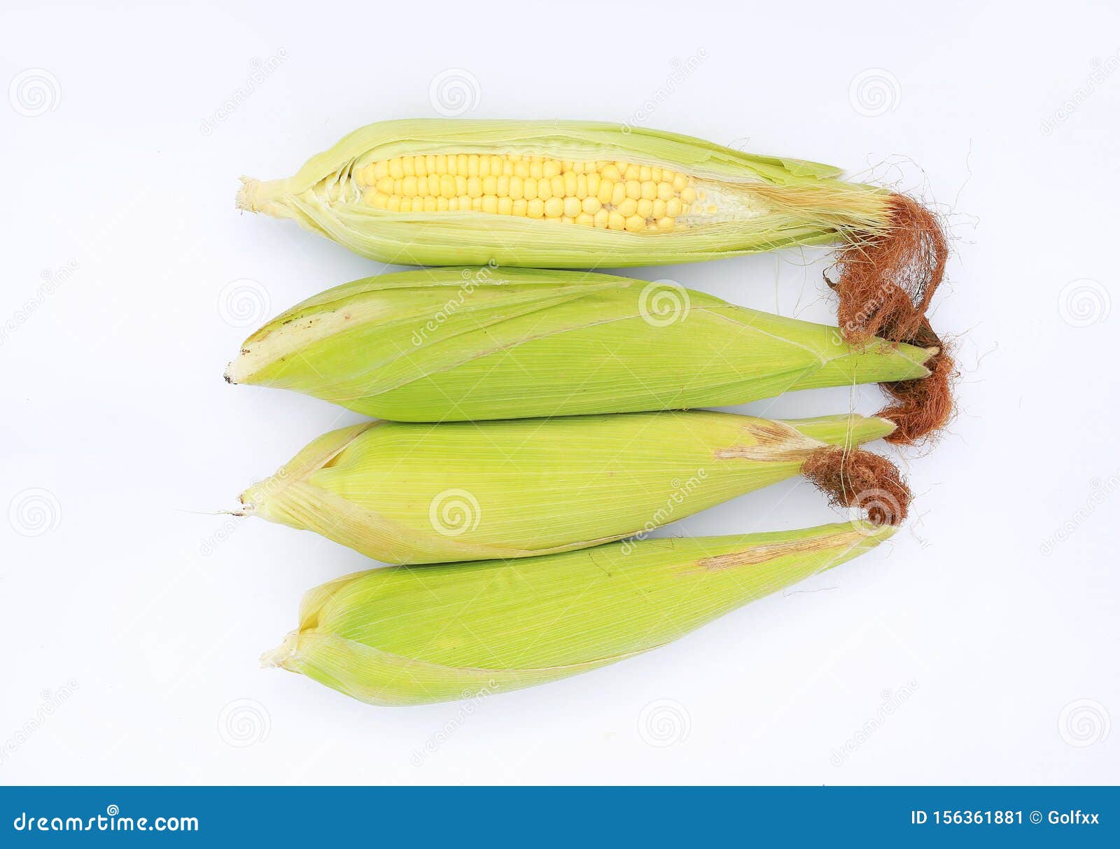 Fresh Corn in Shell Isolated on White Background Stock Image - Image of ...