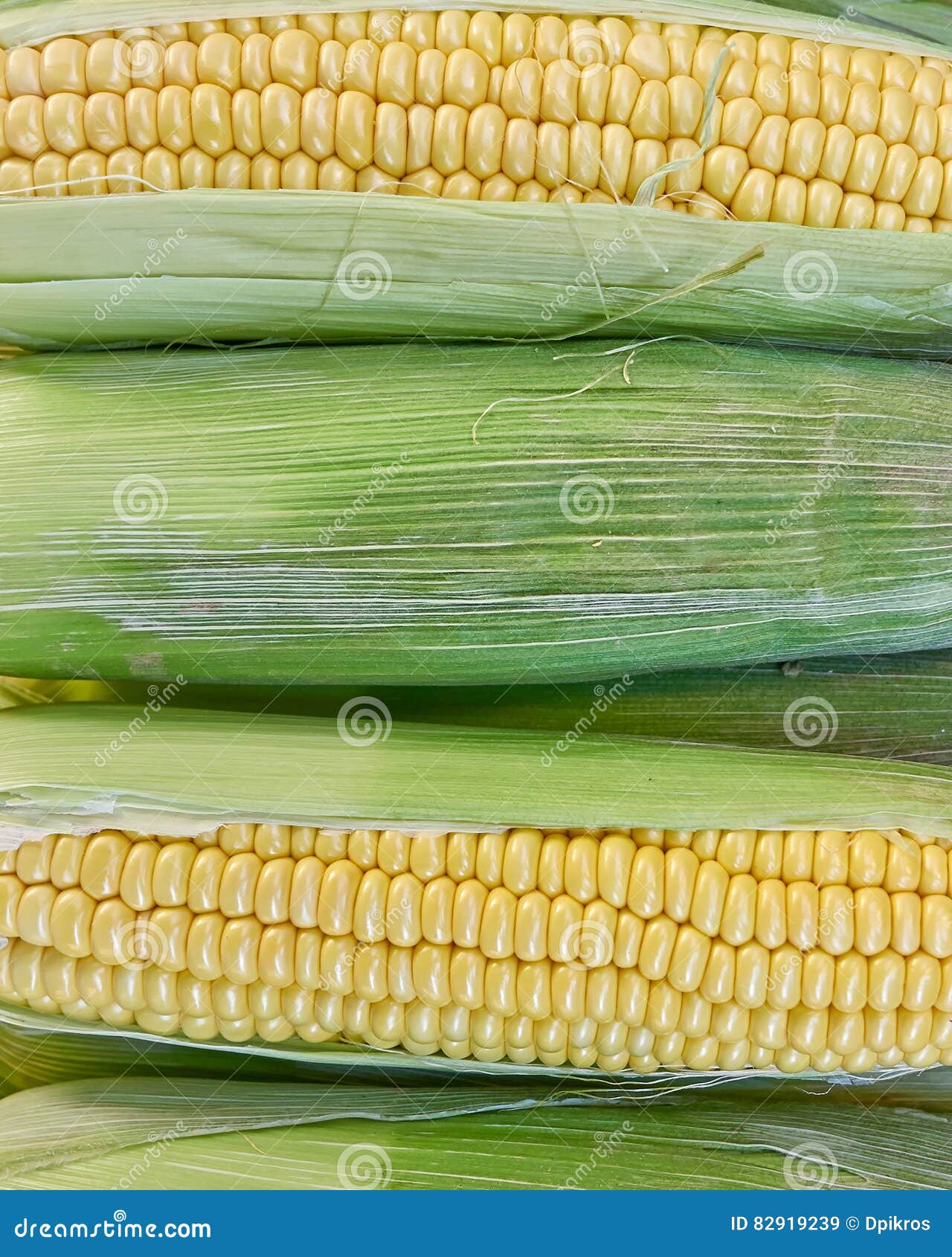 Fresh Corn Top View Closeup, Natural Background Stock Image - Image of ...