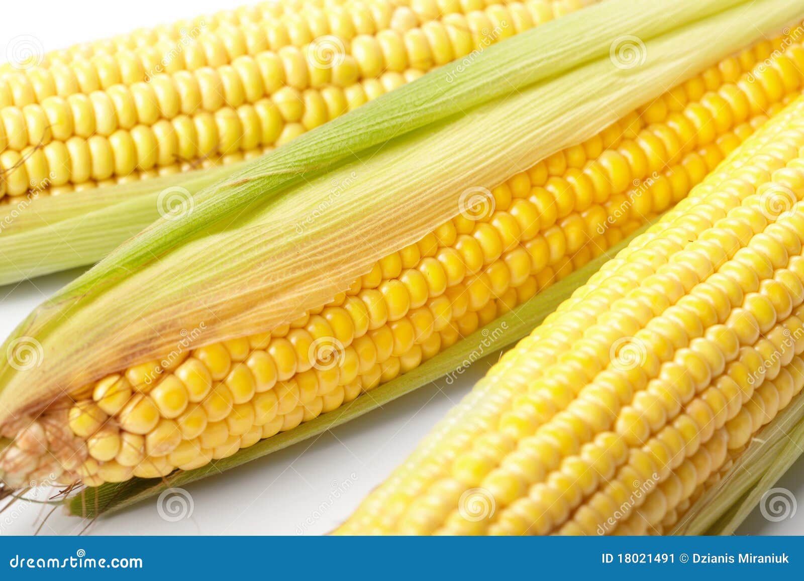 Fresh corn vegetable stock image. Image of yellow, bunch - 18021491