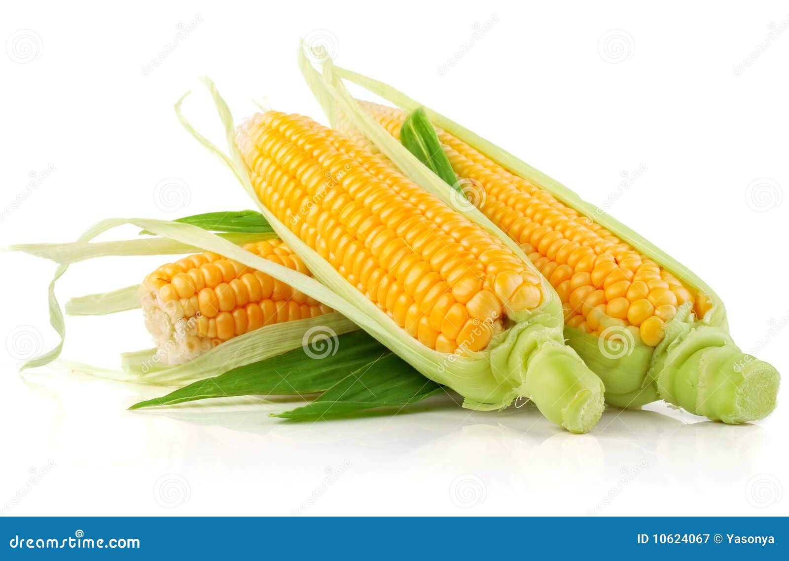 Fresh Corn Vegetable With Green Leaves Royalty Free Stock Photography ...