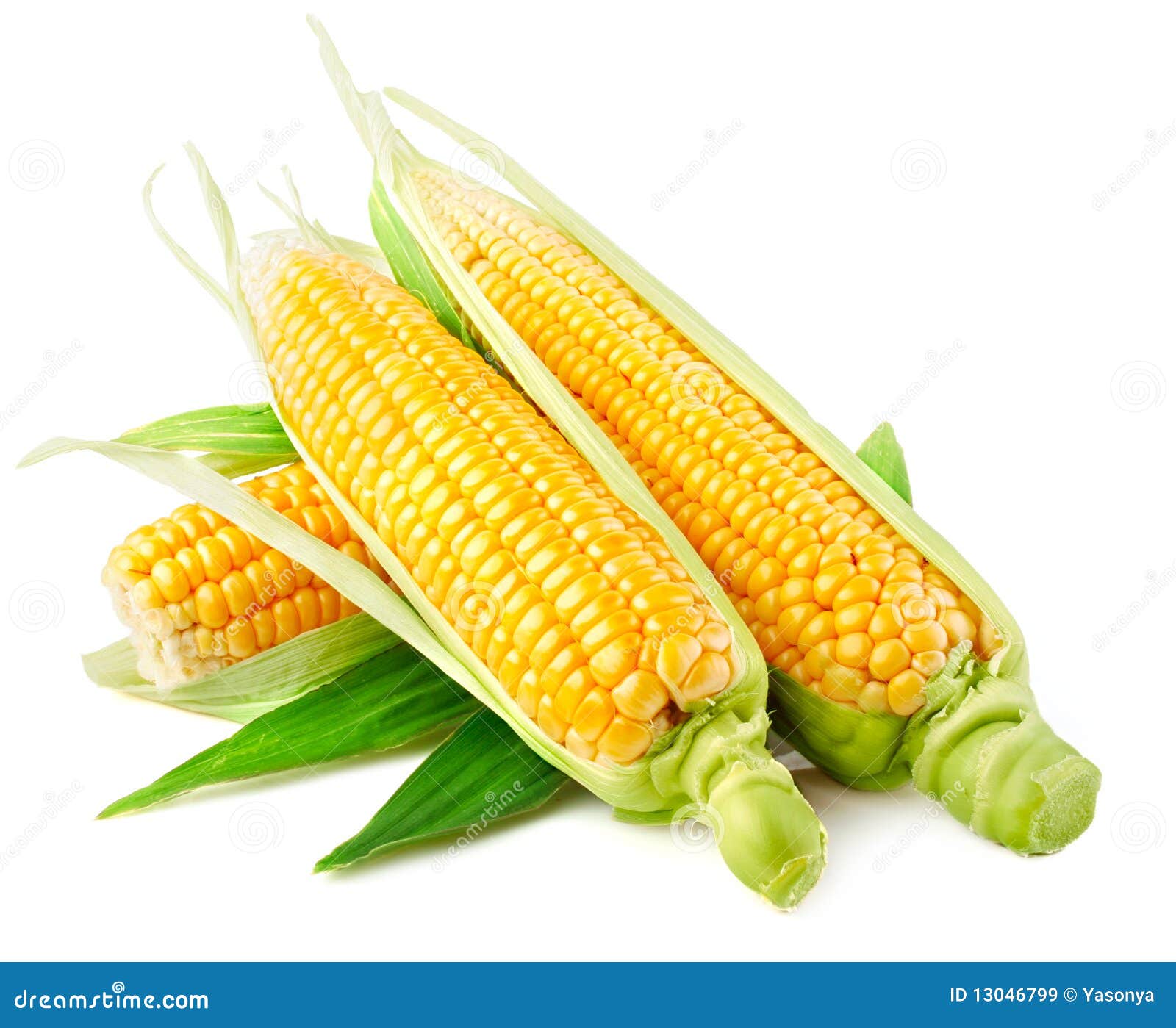Fresh Corn Vegetable with Green Leaves Stock Image - Image of fresh ...