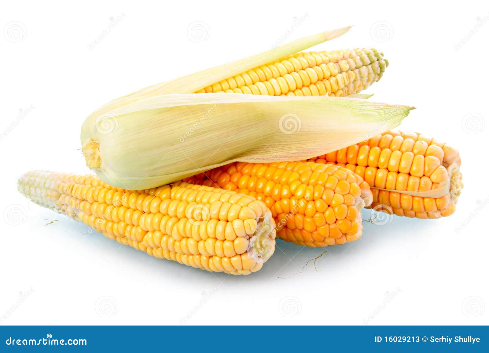 Fresh Corn Vegetable with Green Leaves Isolated Stock Image - Image of ...