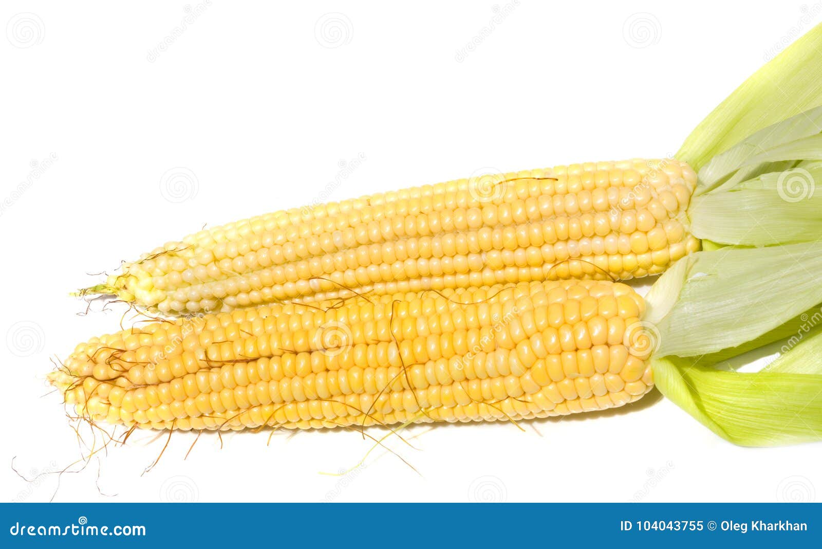 Fresh Corn Vegetable Isolated on White Stock Image - Image of kernel ...