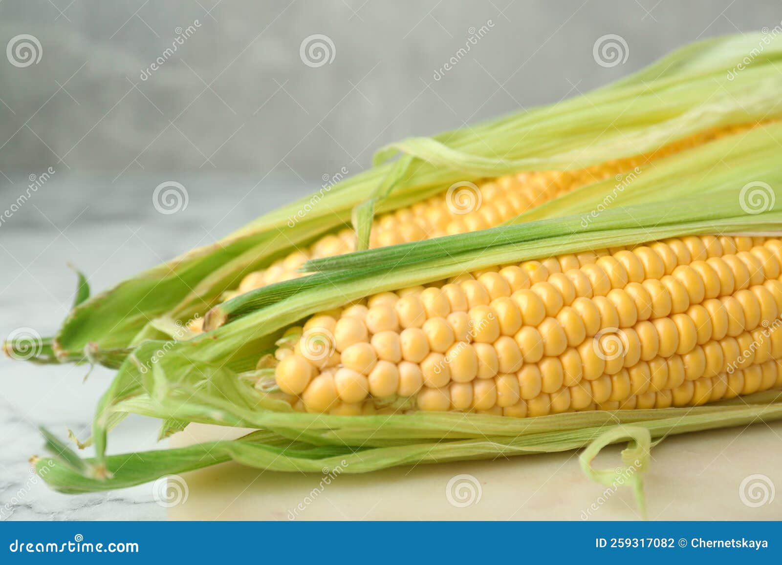 Fresh Corncobs with Green Husks on Grey Table, Closeup Stock Photo ...