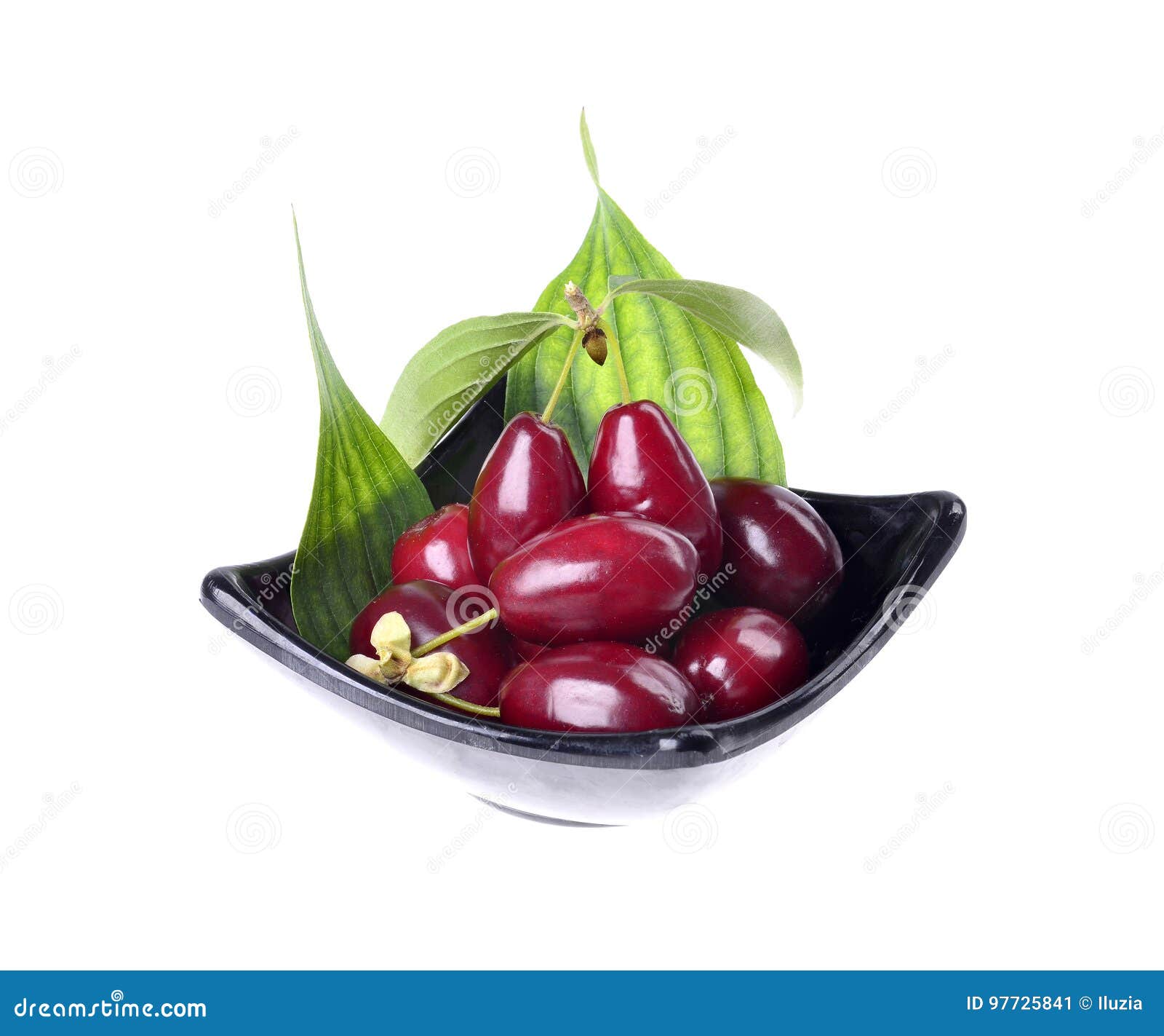 Fresh Cornel Berries in a Bow Stock Image - Image of bowl, berry: 97725841