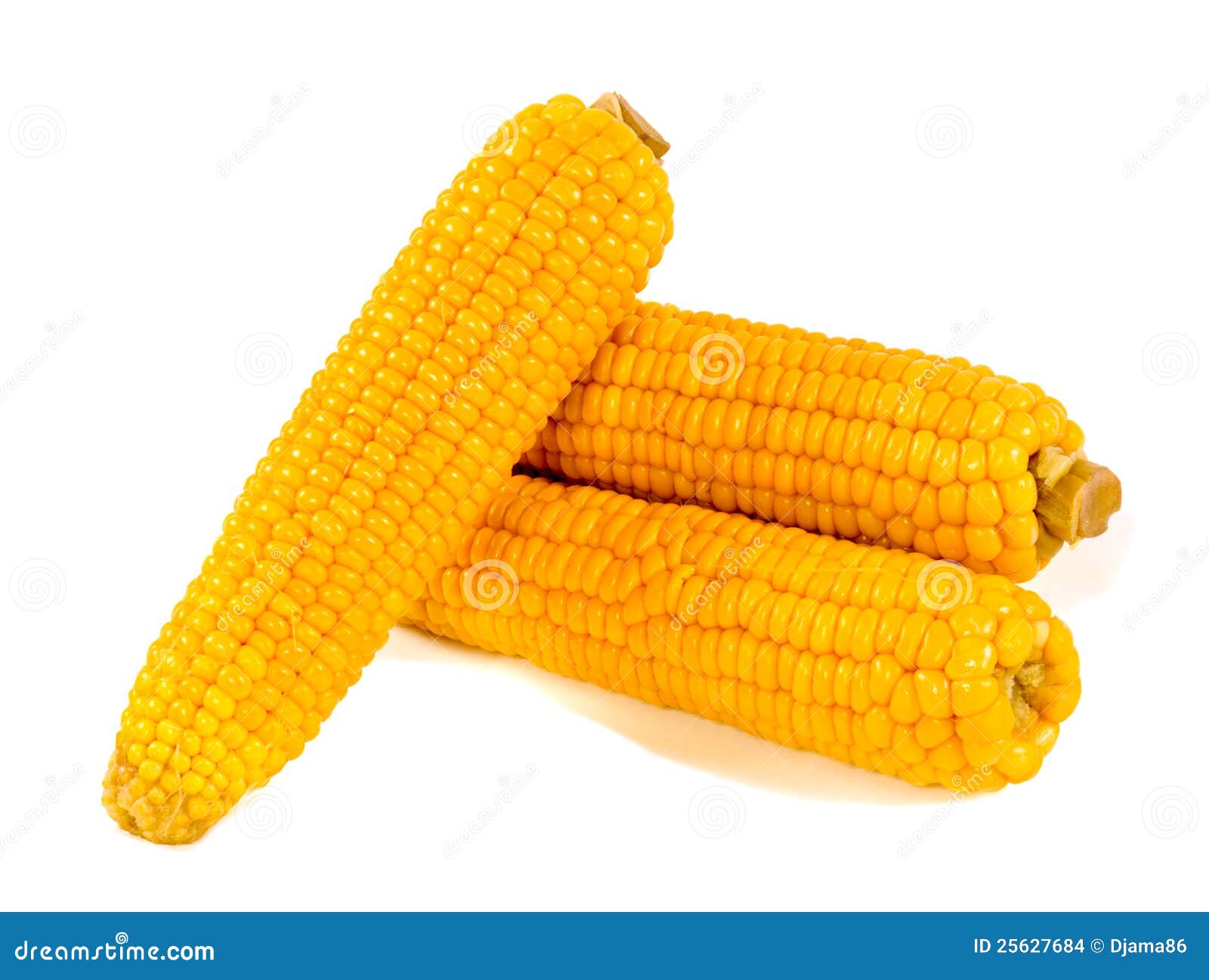 Fresh corns stock photo. Image of grain, husk, gold, closeup - 25627684