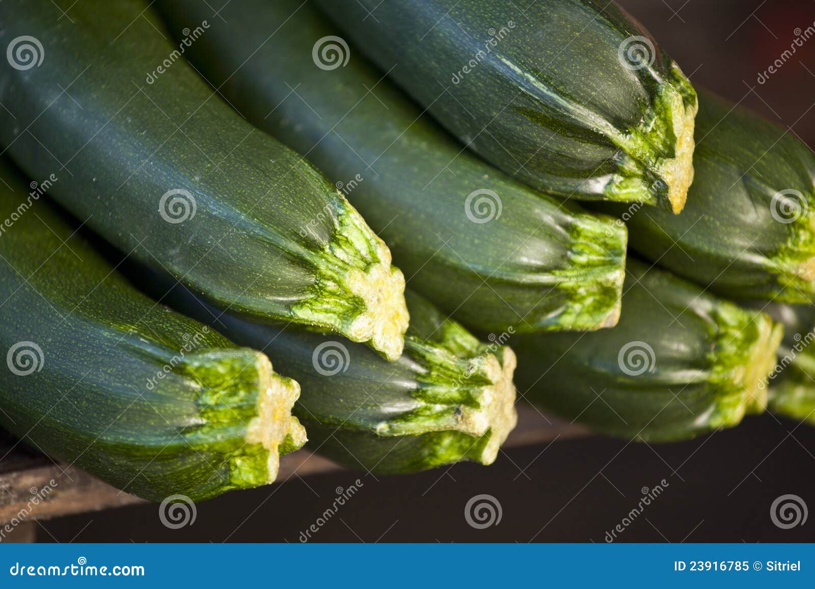 Fresh courgettes stock image. Image of fresh, food, green - 23916785
