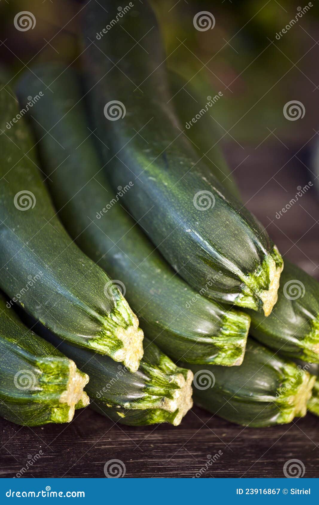 Fresh courgettes stock image. Image of vegetarian, market - 23916867