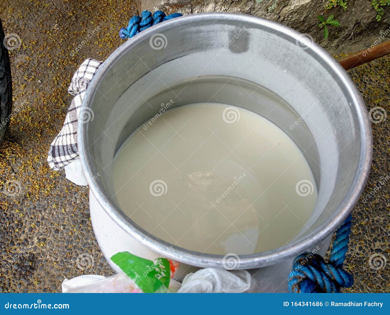 A Fresh Cow Milk in a Pan stock photo. Image of heathy - 164341686