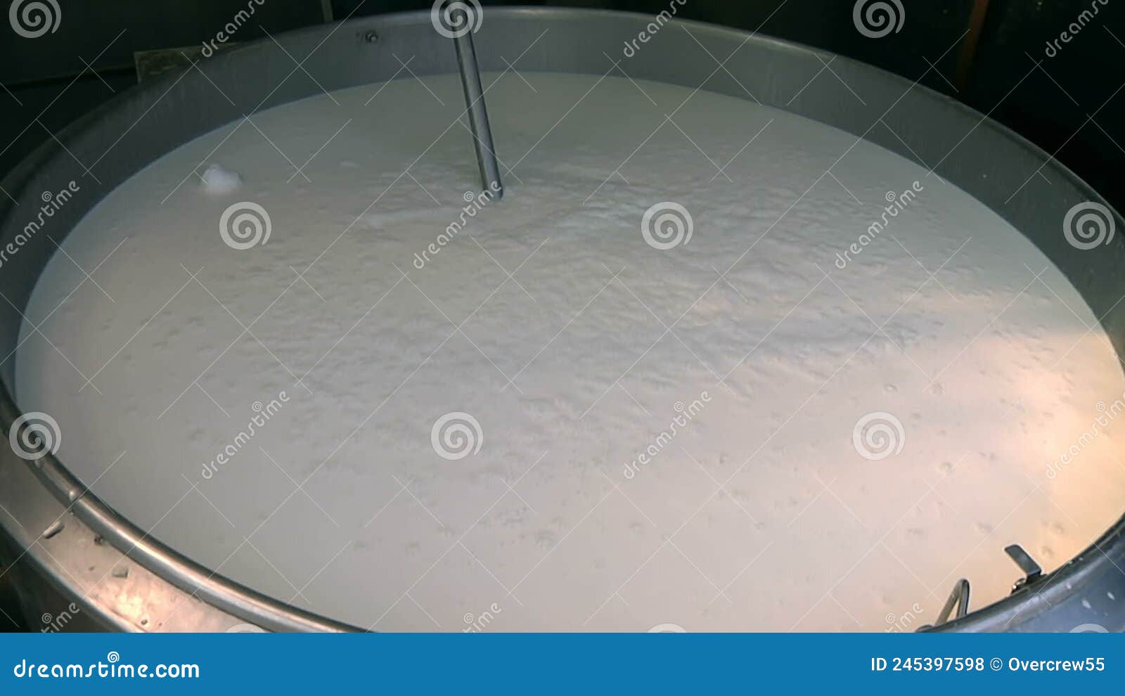 Fresh Cow`s Milk in a Tank stock footage. Video of beverage - 245397598