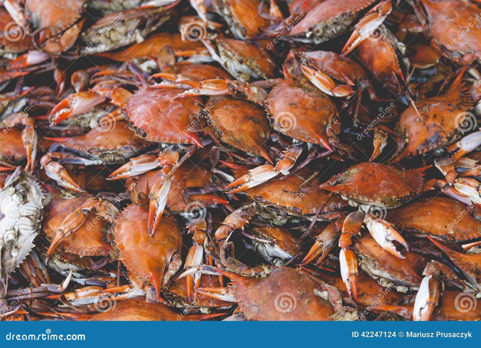 Fresh Crab at American Fish Market Stock Photo - Image of healthy ...