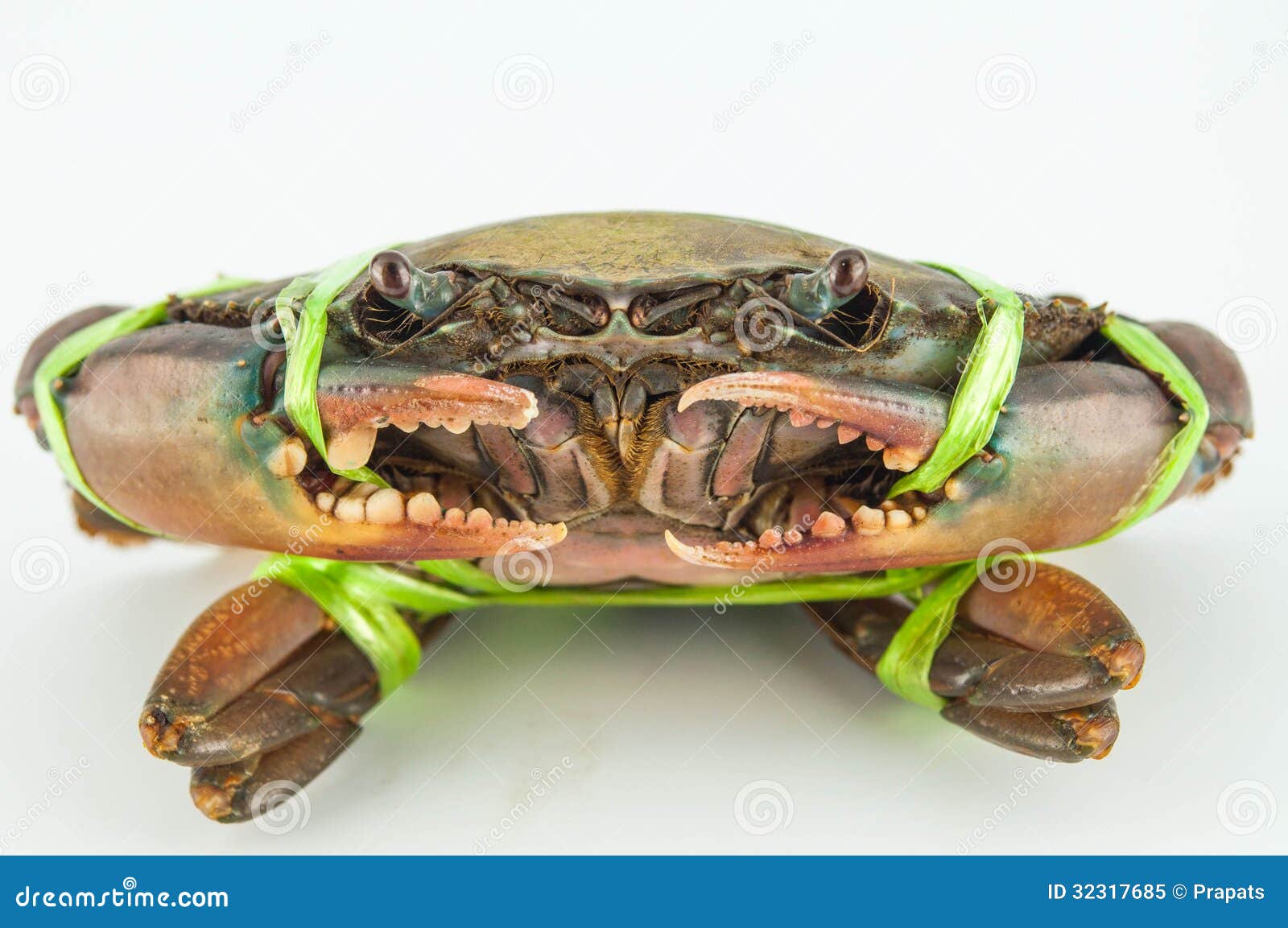 Fresh crab stock image. Image of cooking, nutrition, food - 32317685