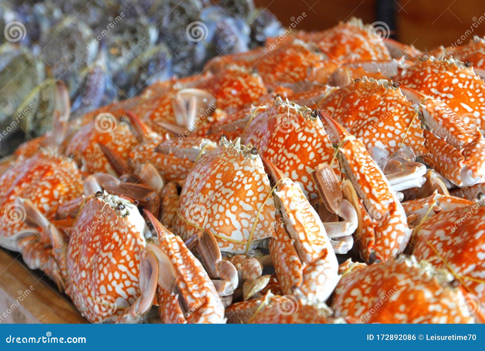 Fresh Crab for Making Seafood Stock Photo - Image of health, crab ...