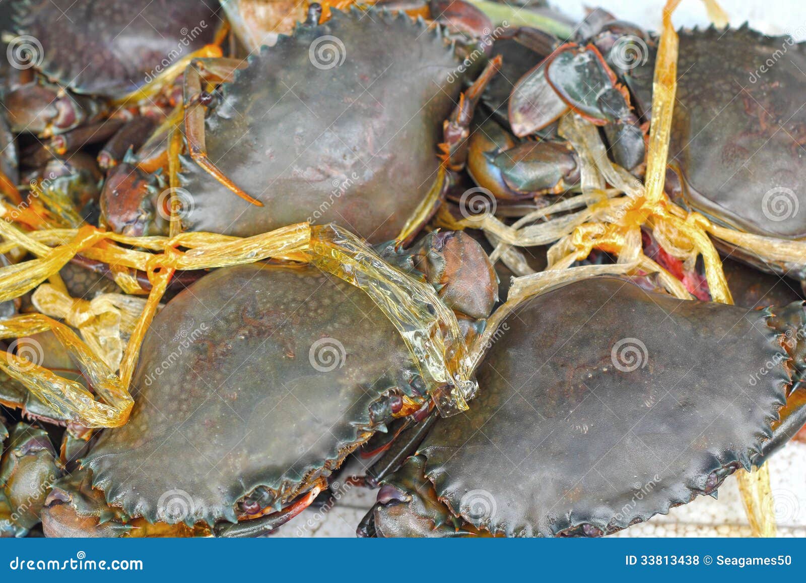 Fresh crab on the market. stock photo. Image of restaurant - 33813438