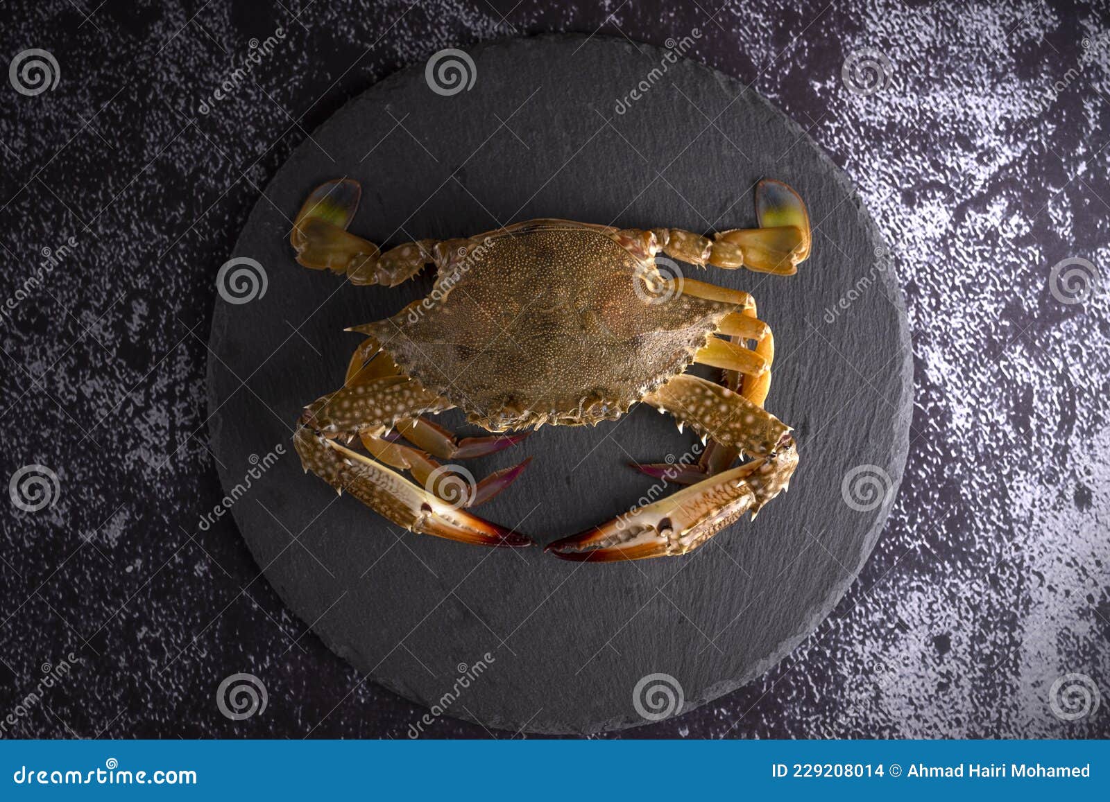Fresh Crab on Stone Plate for Dinner Stock Photo - Image of armed ...