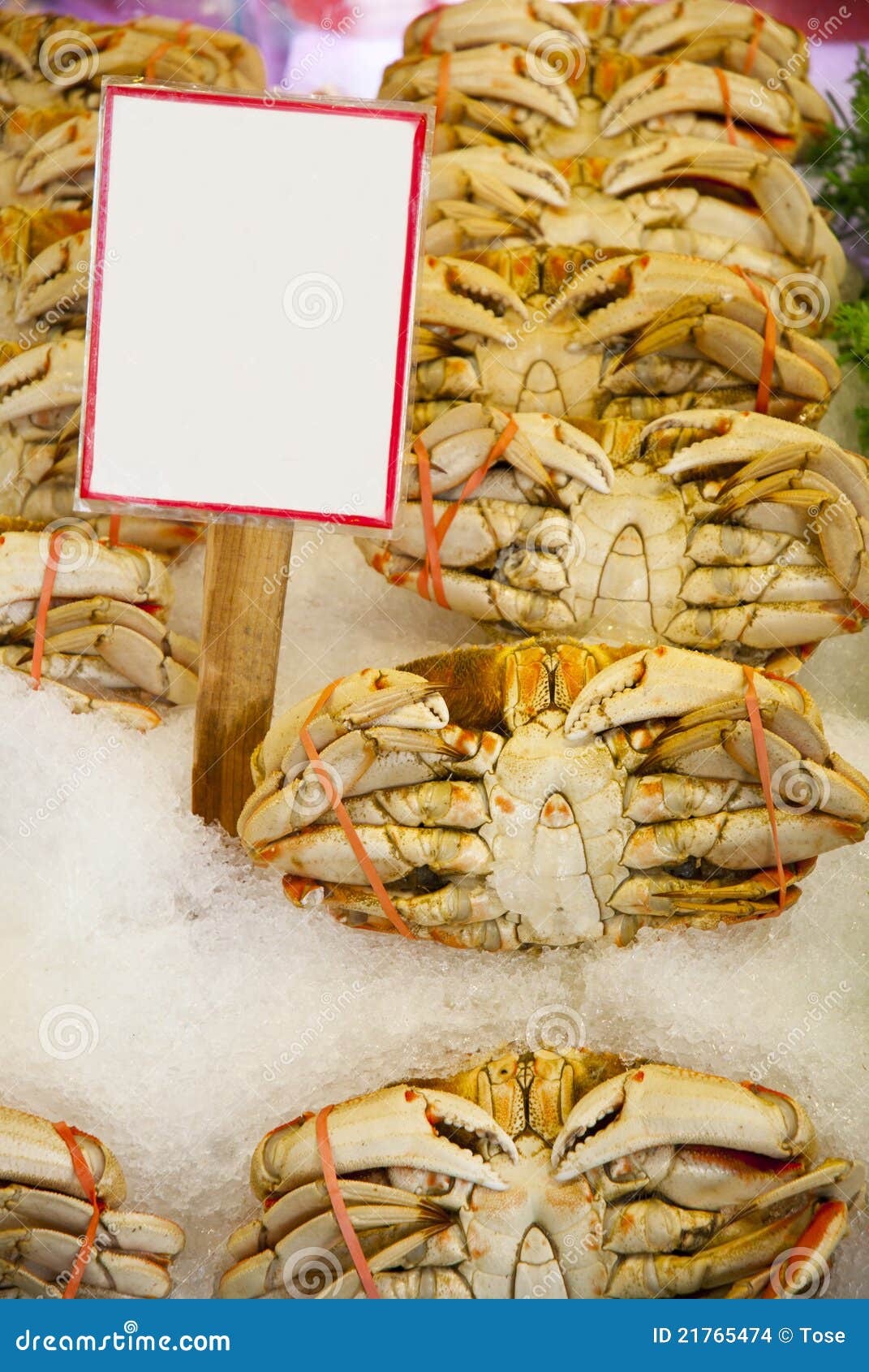 Fresh crab for sale stock photo. Image of sign, dividers - 21765474
