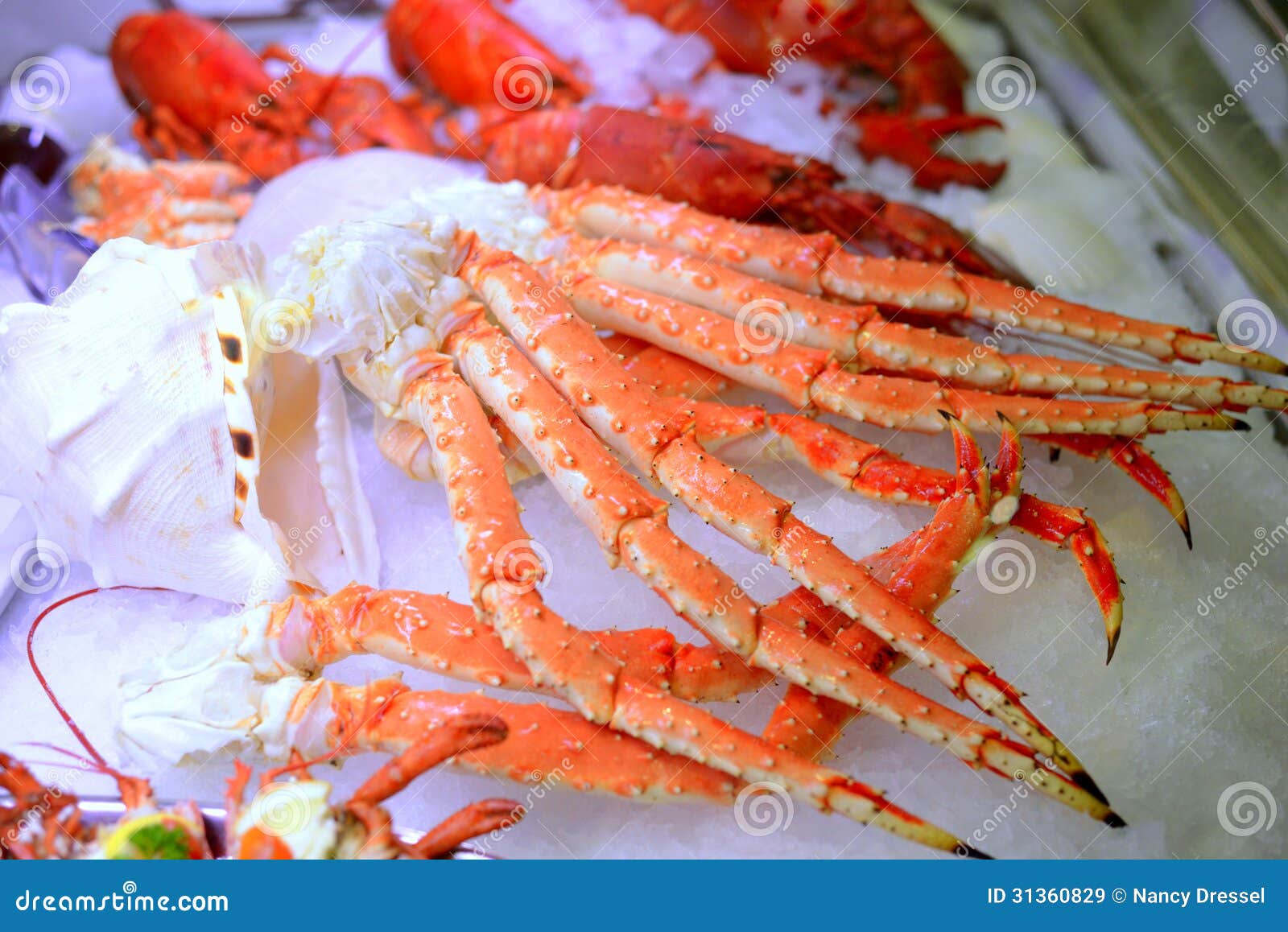 Fresh crab seafood on ice stock image. Image of cubes - 31360829