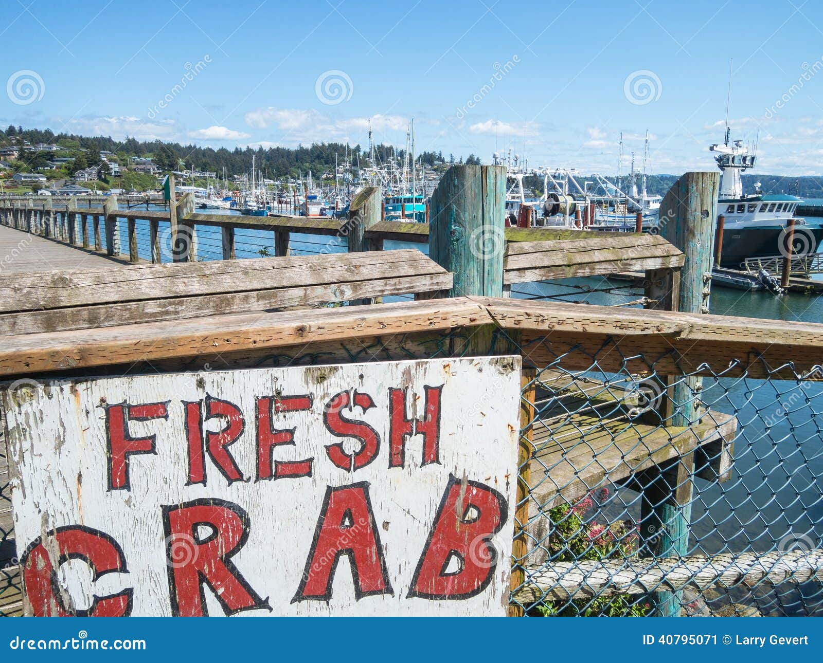 Fresh crab sign stock image. Image of ocean, historic - 40795071