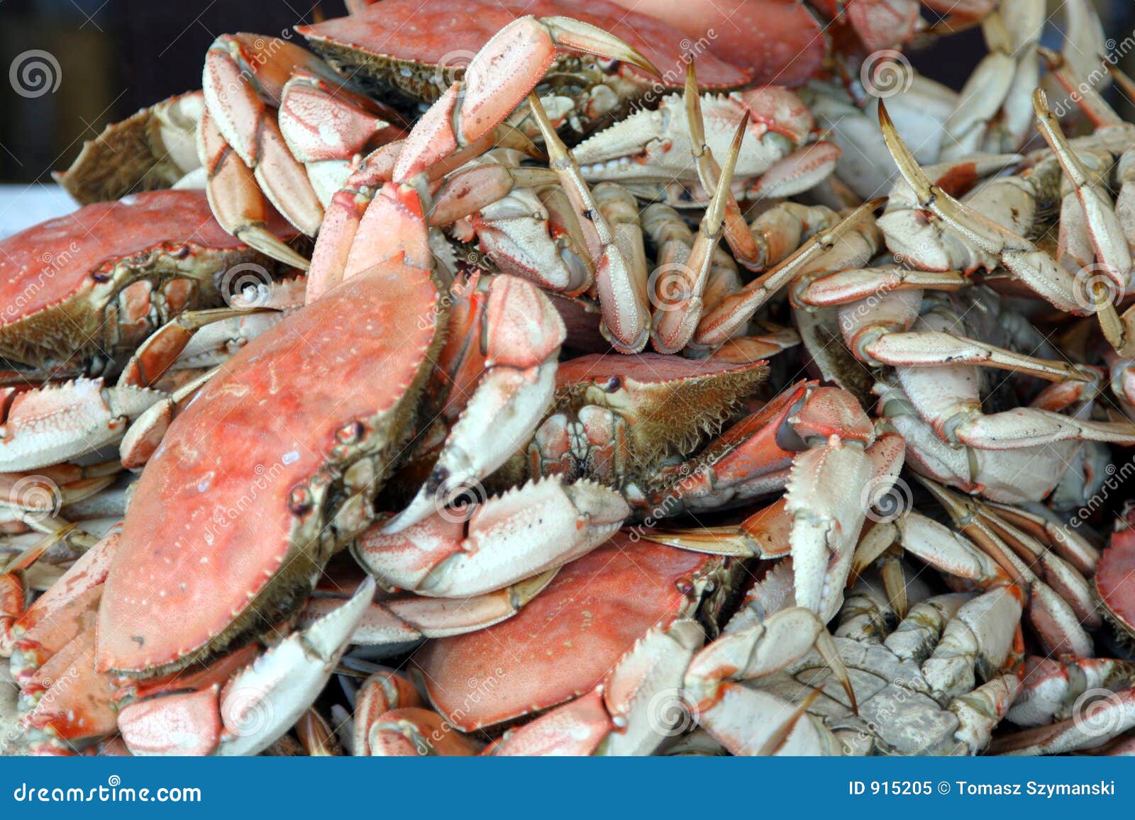 Fresh crabs stock image. Image of prawns, close, animal - 915205