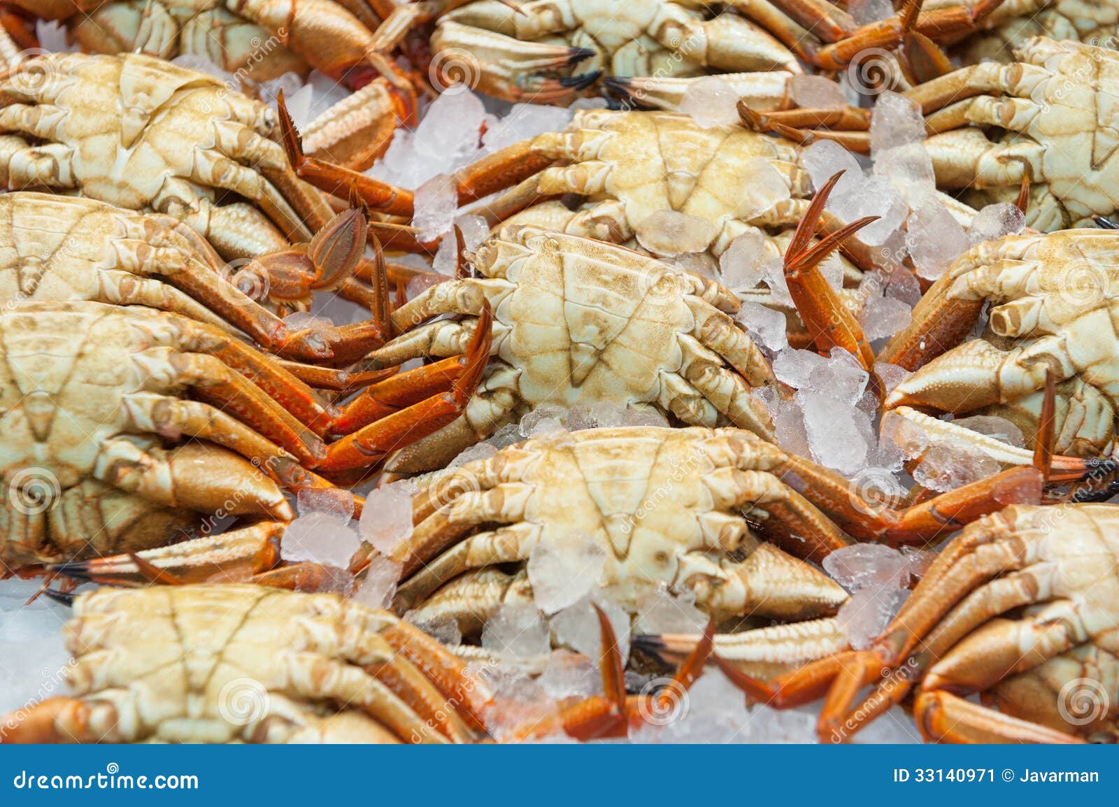 Fresh crabs in the market stock image. Image of animal - 33140971