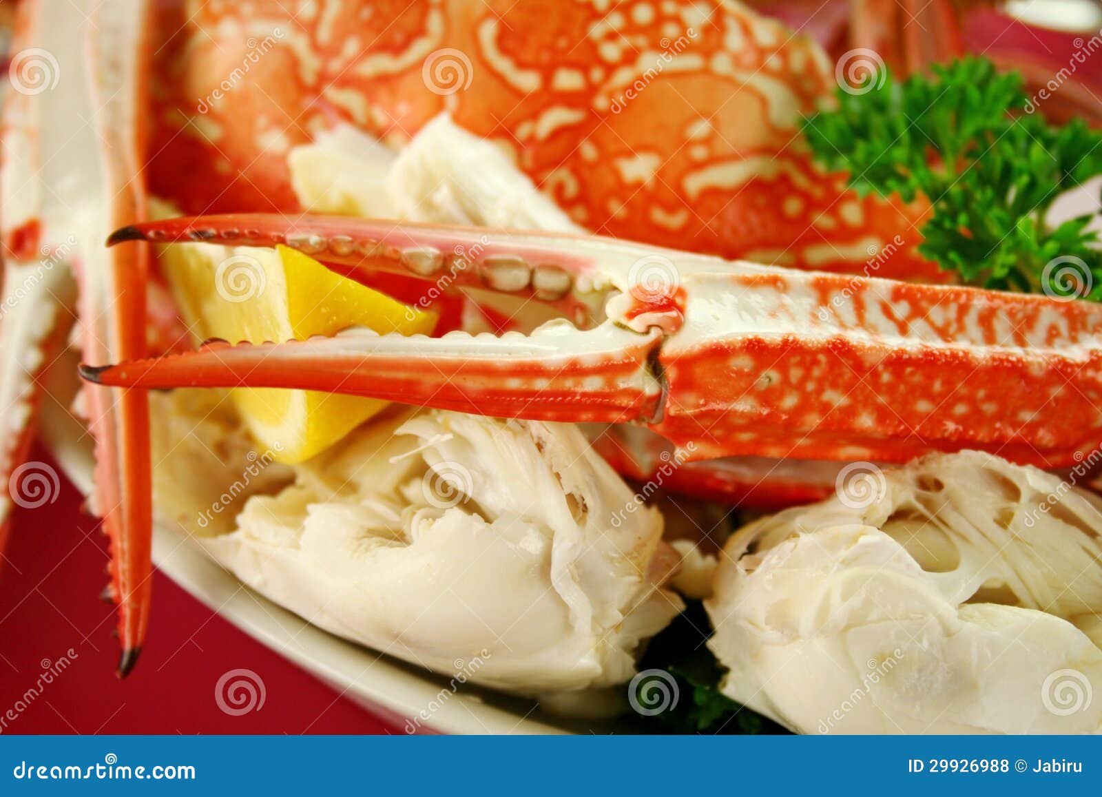Fresh Cracked Sand Crab stock photo. Image of herbs, lunch - 29926988