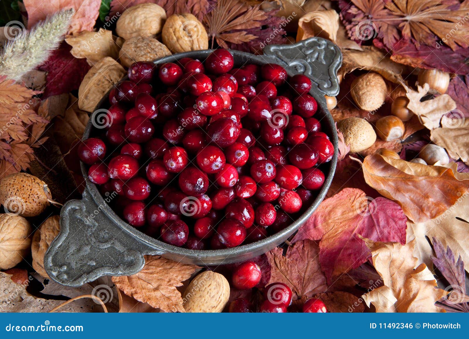 Fresh cranberries stock photo. Image of ingredient, holiday - 11492346