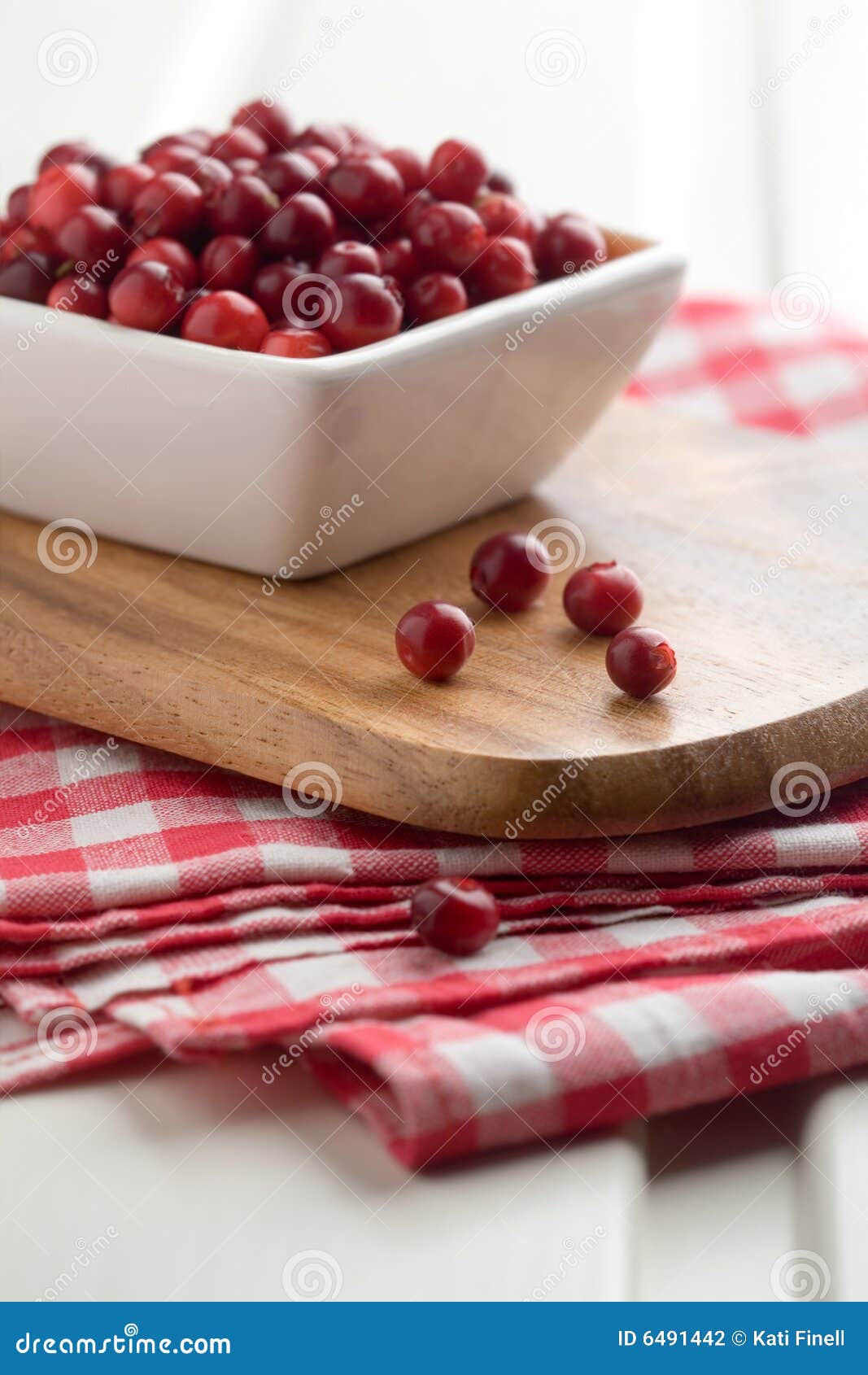 Fresh cranberries stock photo. Image of healthy, detail - 6491442