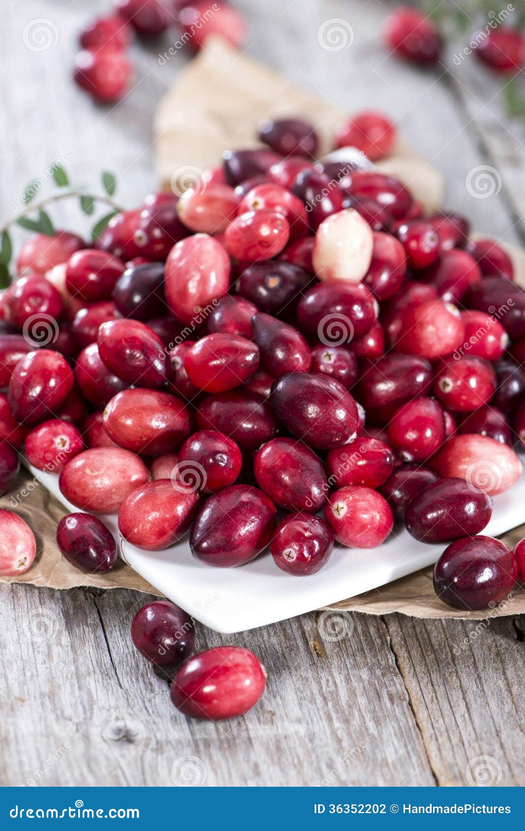 Fresh Cranberries stock photo. Image of berries, organic - 36352202