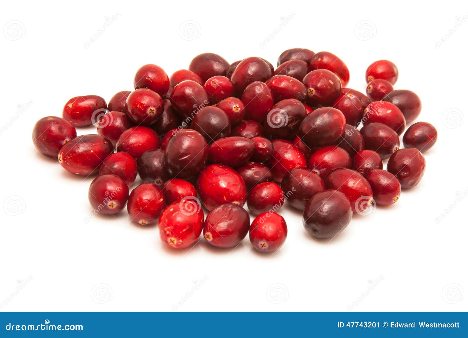 Fresh cranberries stock image. Image of berry, food, studio - 47743201