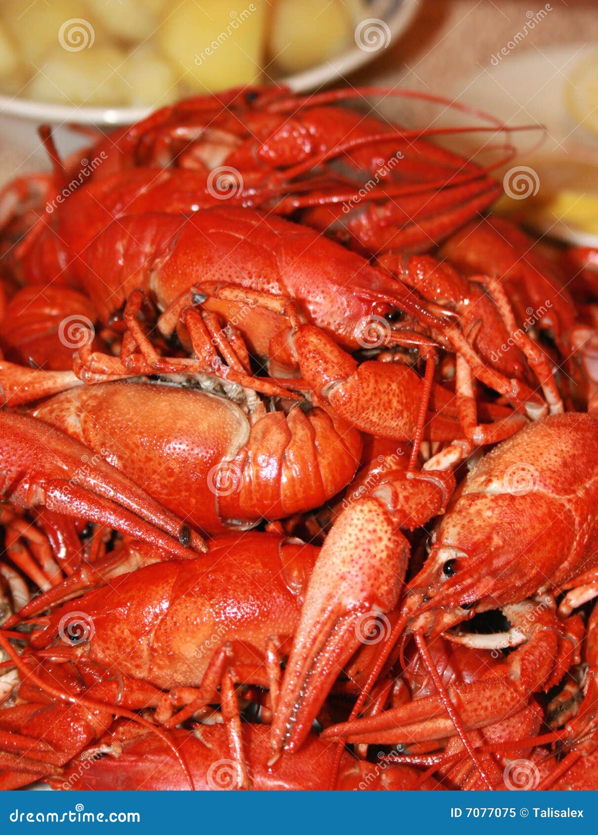 Fresh crawfish stock image. Image of delicious, prepared - 7077075