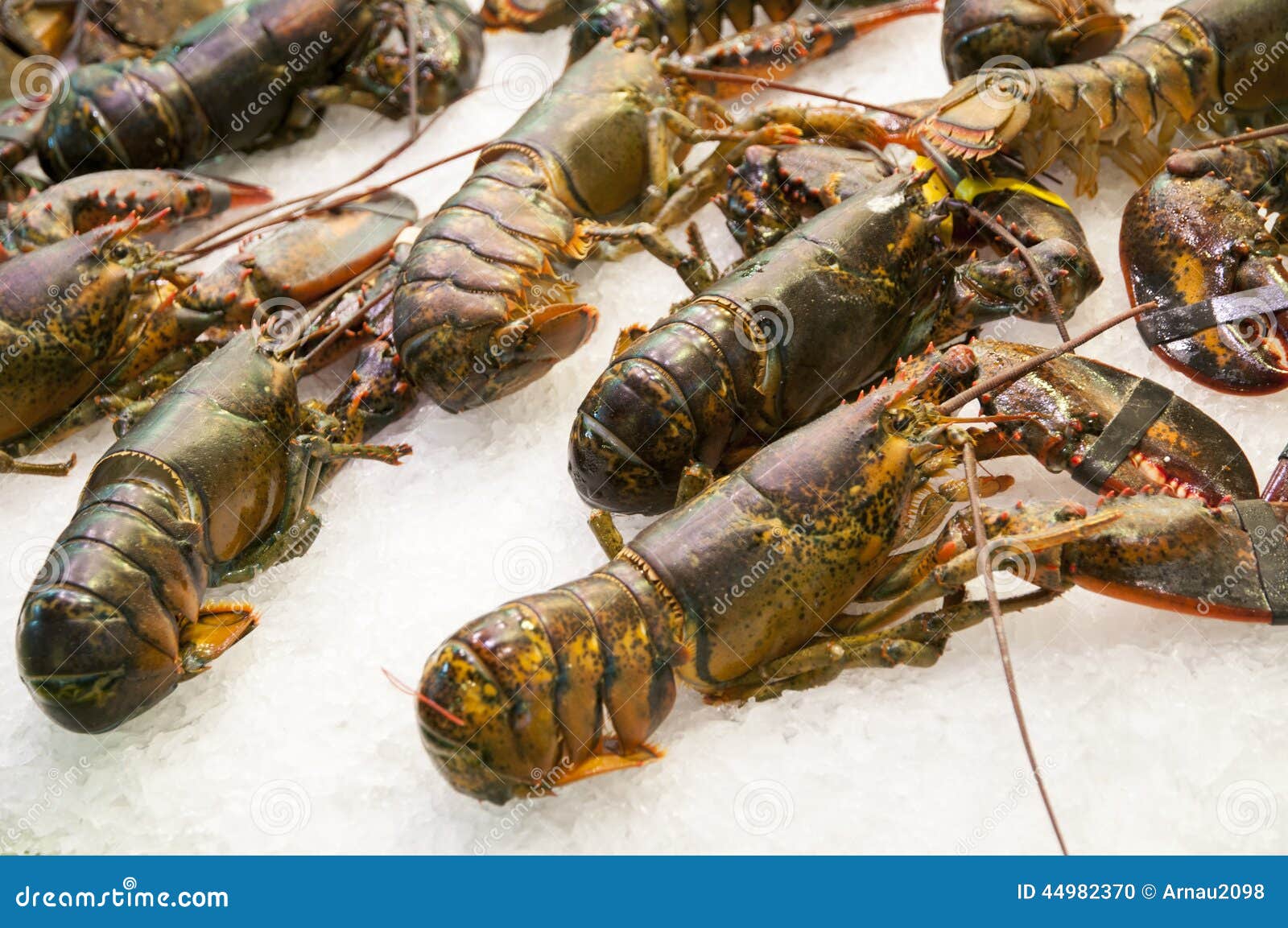 Fresh crawfish stock photo. Image of alive, antenna, food - 44982370