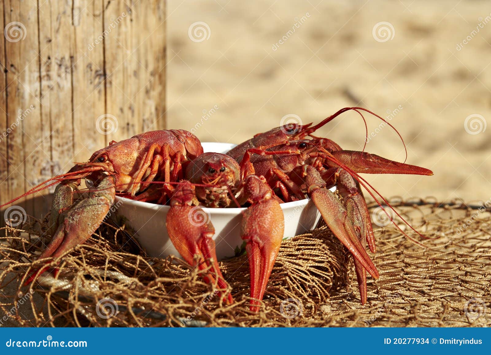 Fresh crayfish stock photo. Image of fead, island, diet - 20277934