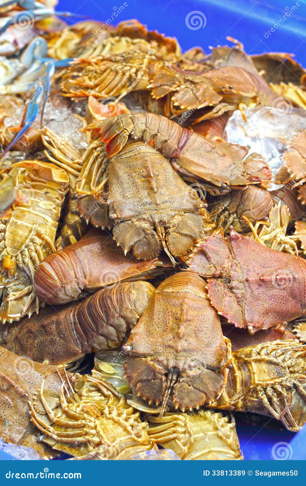 Fresh Crayfish in the Market. Stock Image - Image of gourmet, shellfish ...