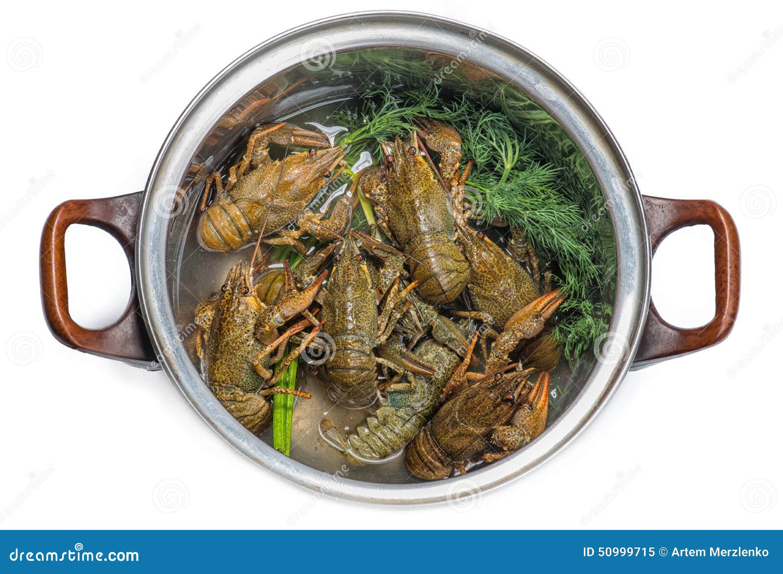 Fresh crayfish in a pot stock image. Image of iron, claw - 50999715