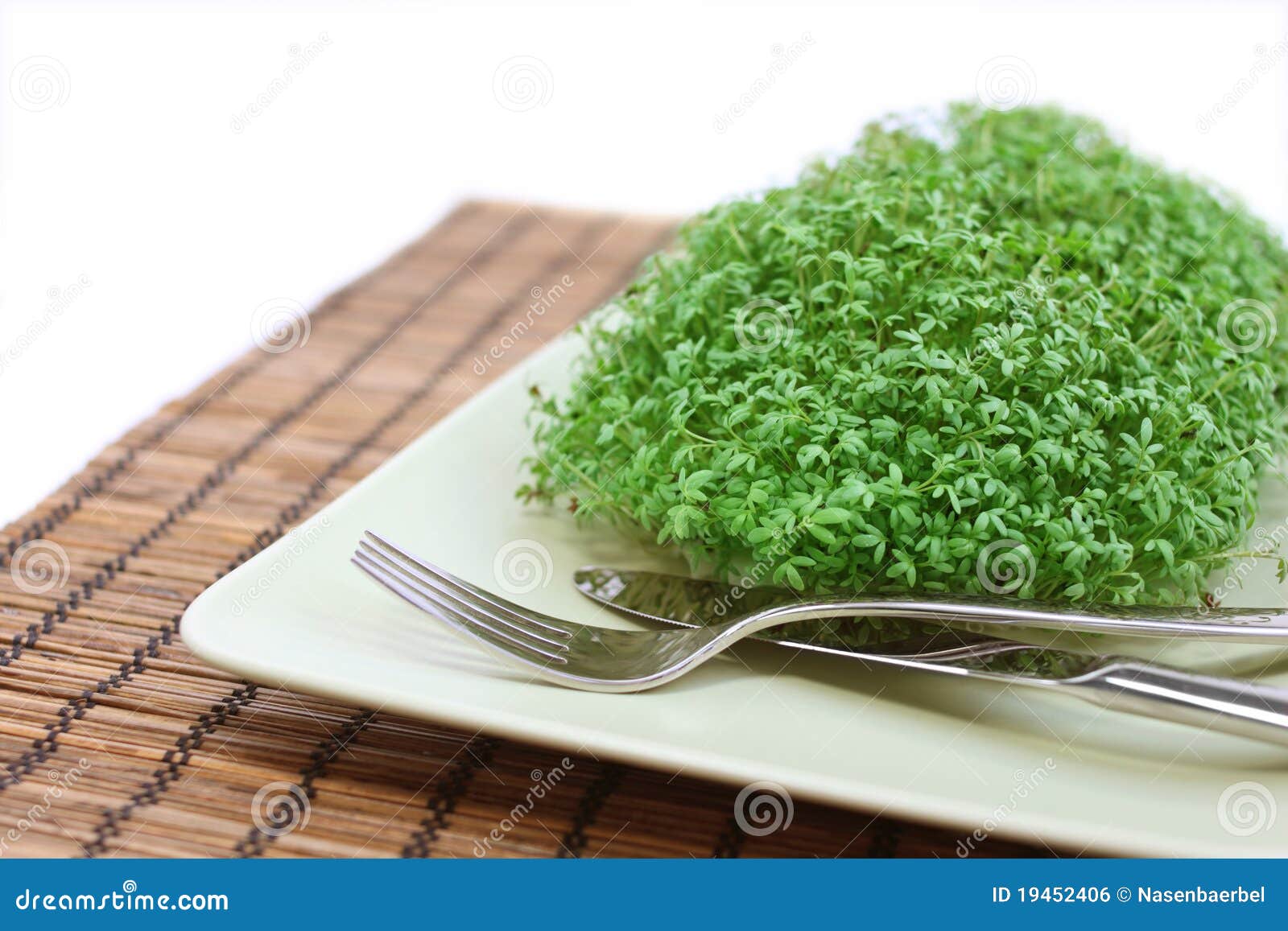 Fresh cress on a plate stock photo. Image of health, cultivation - 19452406