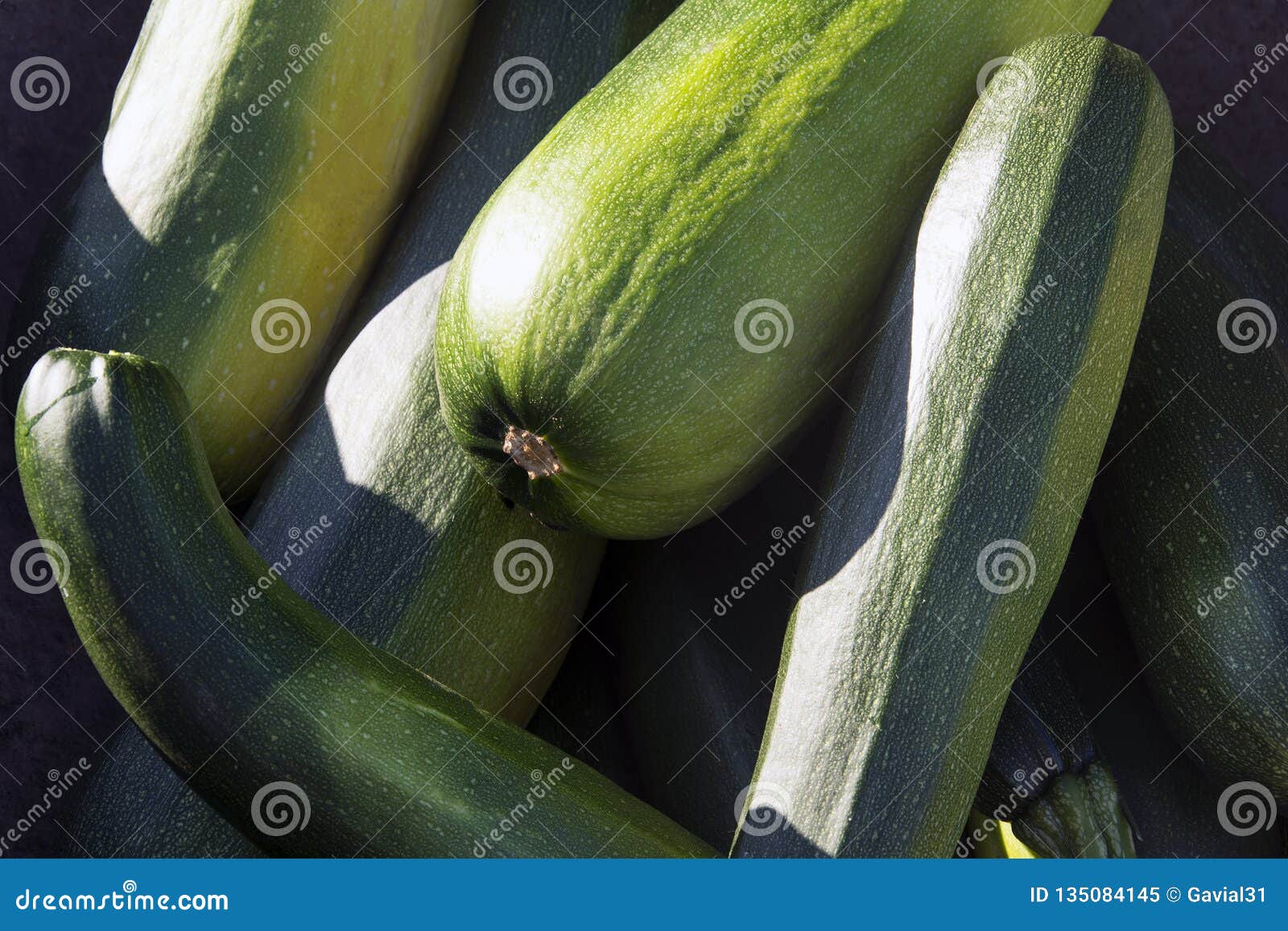 Fresh Crop Vegetable Marrow Stock Image - Image of farmer, vegetable ...