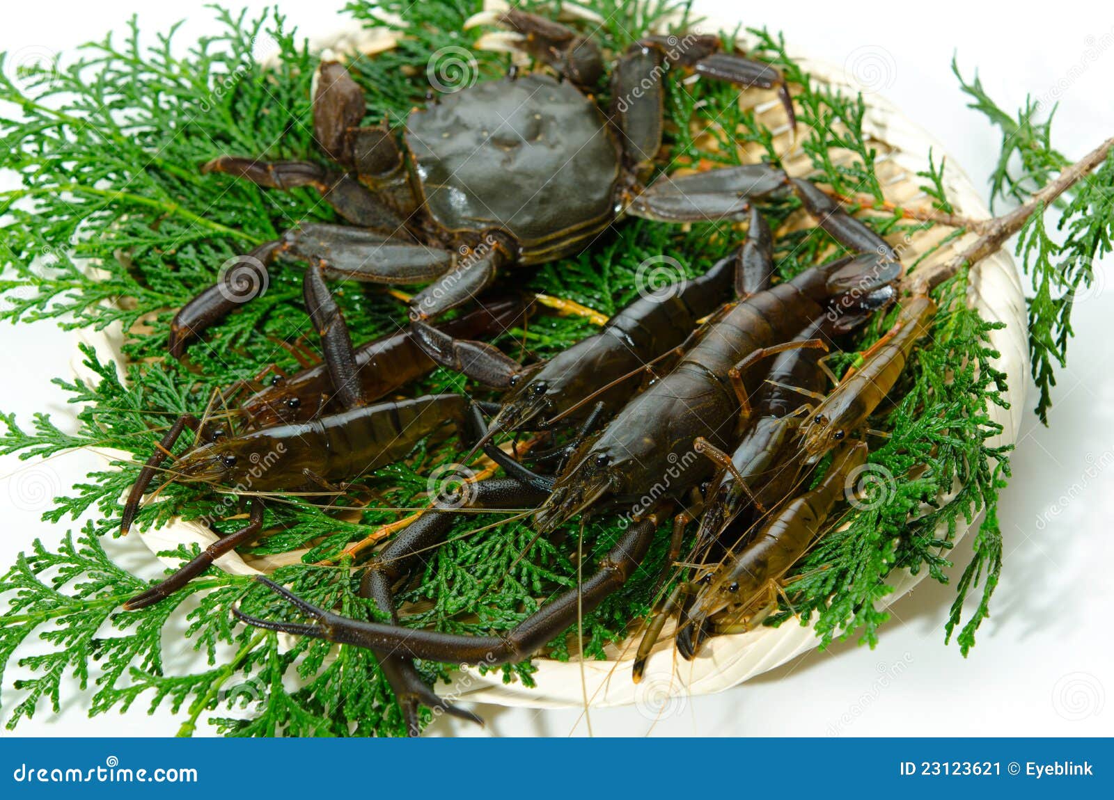 Fresh crustacean stock image. Image of dinner, brown - 23123621