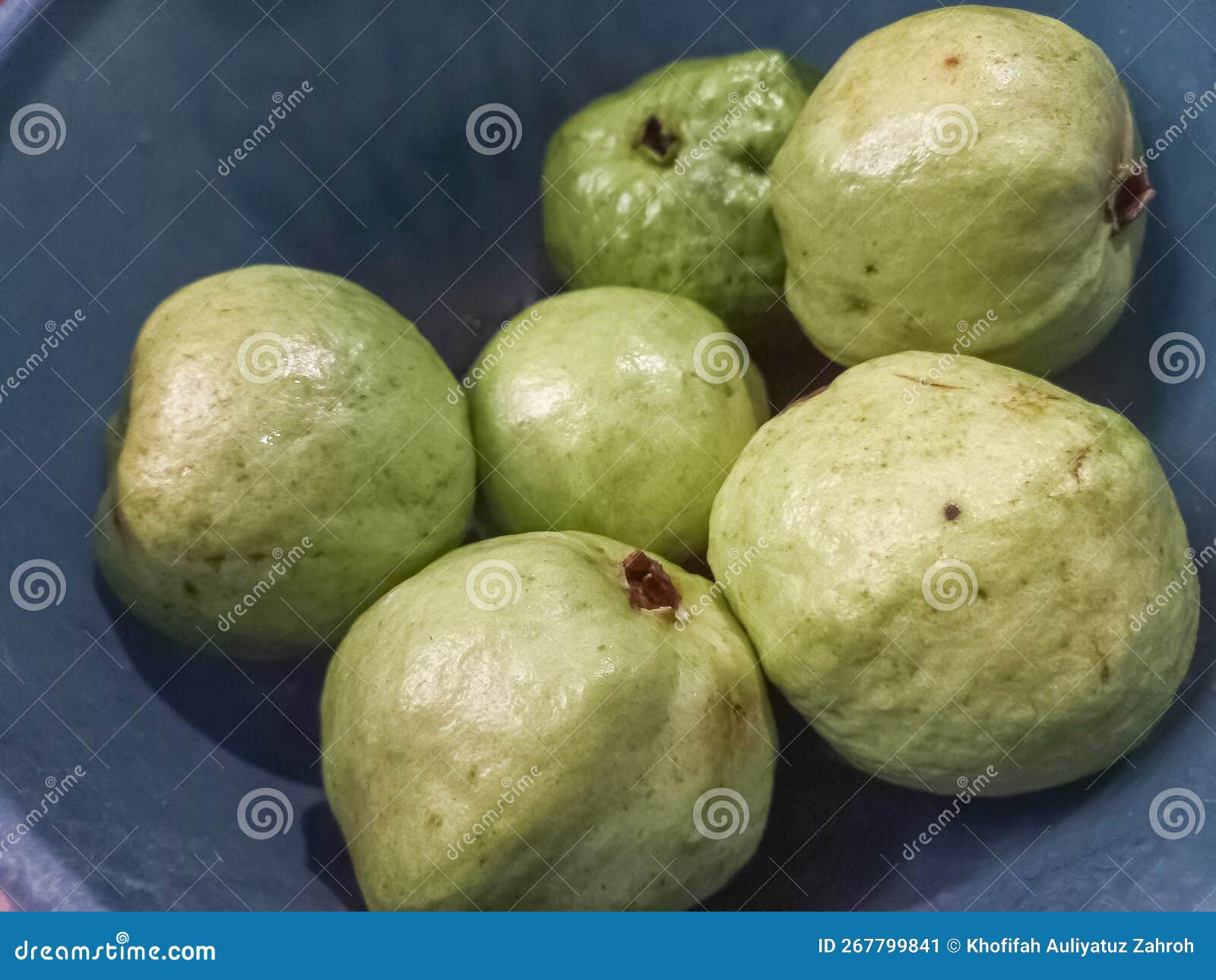Fresh Crystal Guava Fruit from Tree in Indonesia Stock Image - Image of ...
