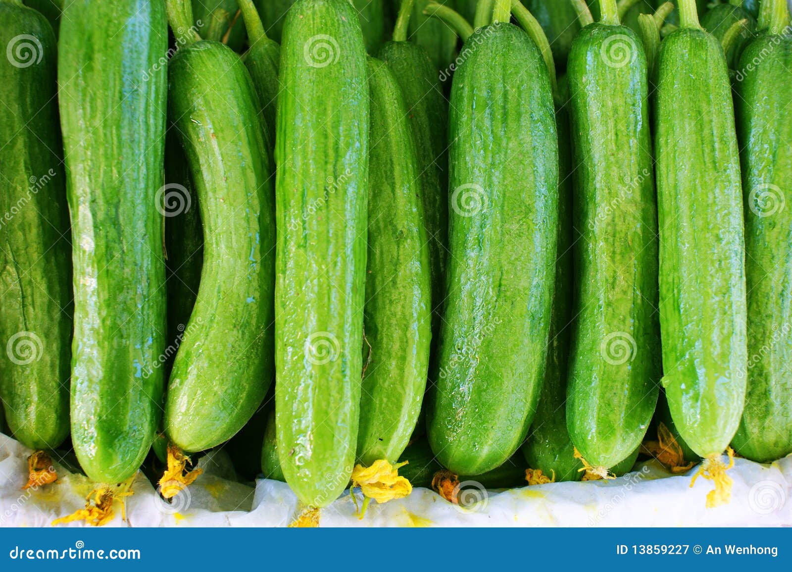 Fresh cucumber stock image. Image of marketing, food - 13859227