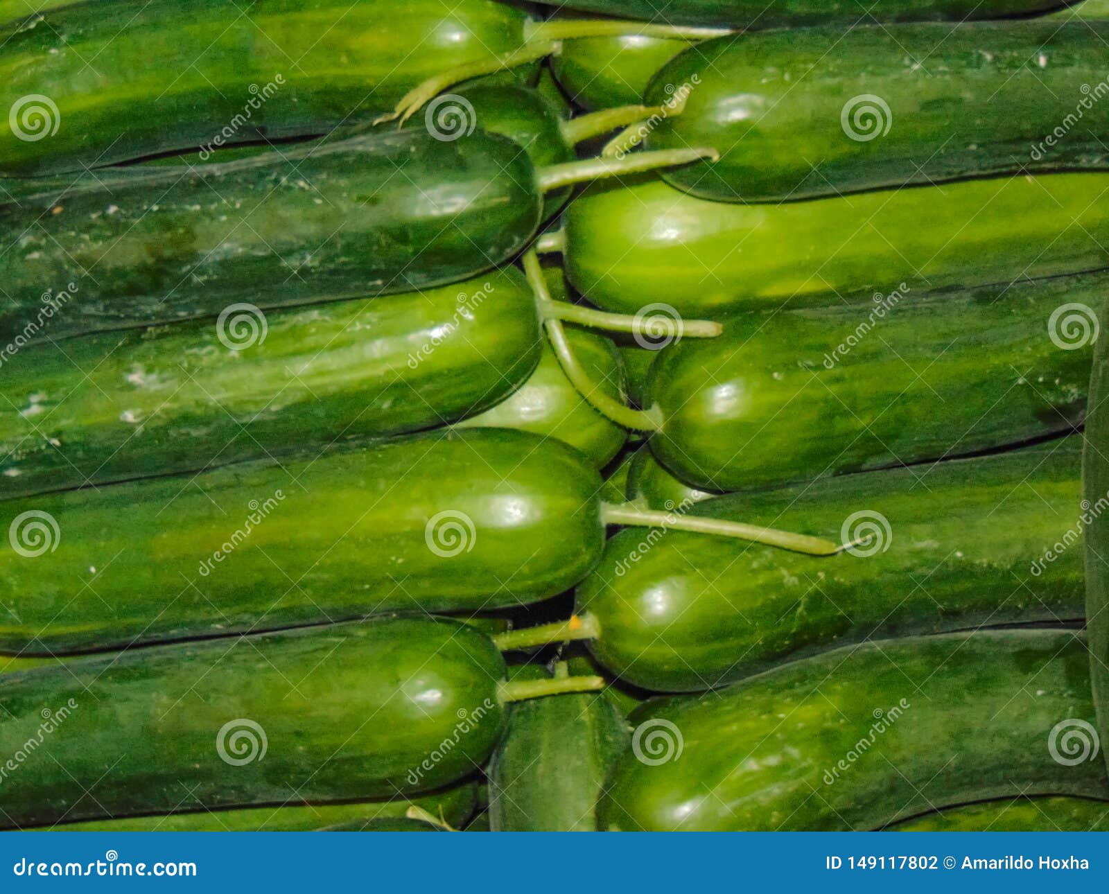Fresh Cucumber Texture stock photo. Image of pickles - 149117802